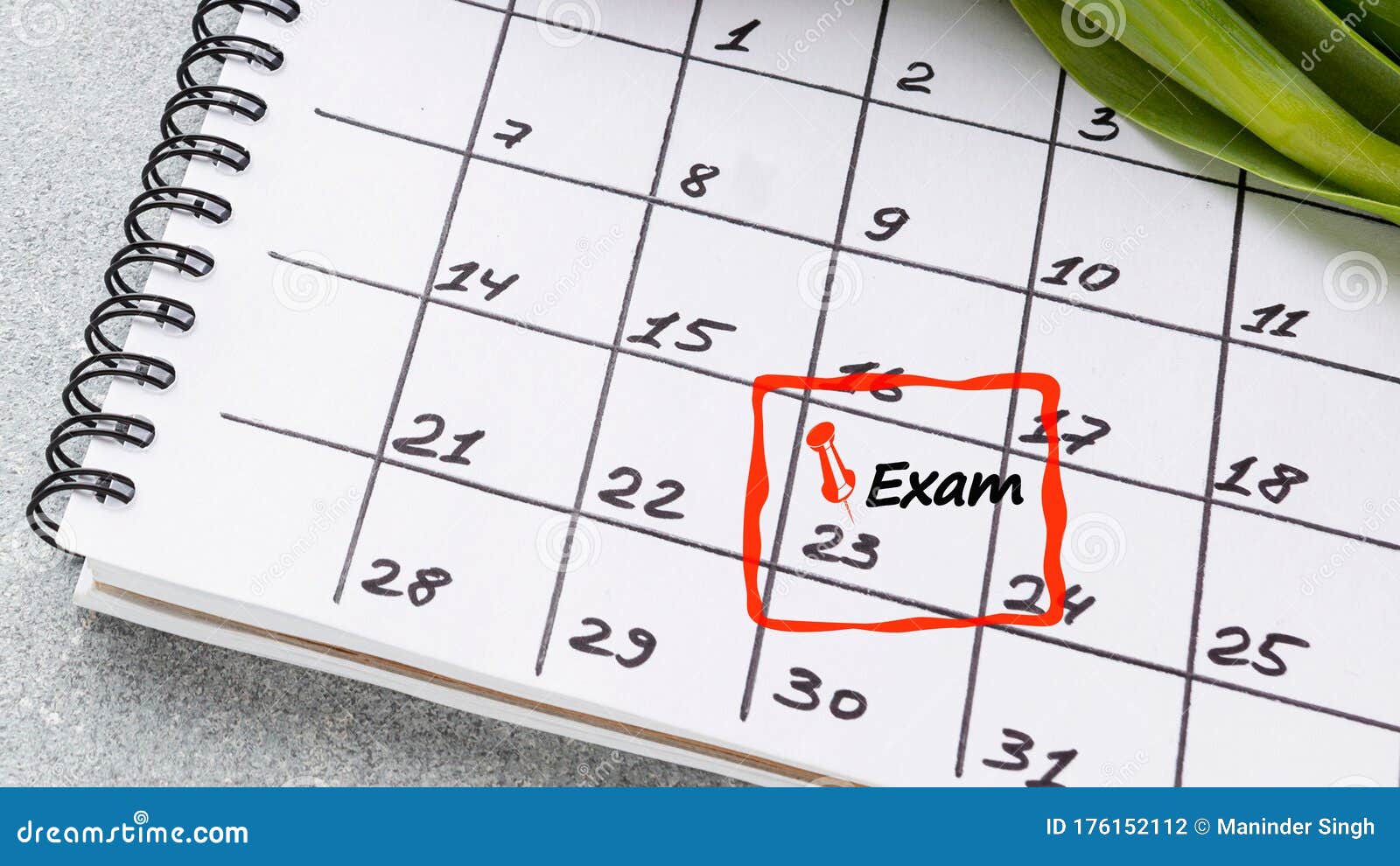 Date of Exam. stock photo. Image of hour, circled, oldfashioned - 176152112