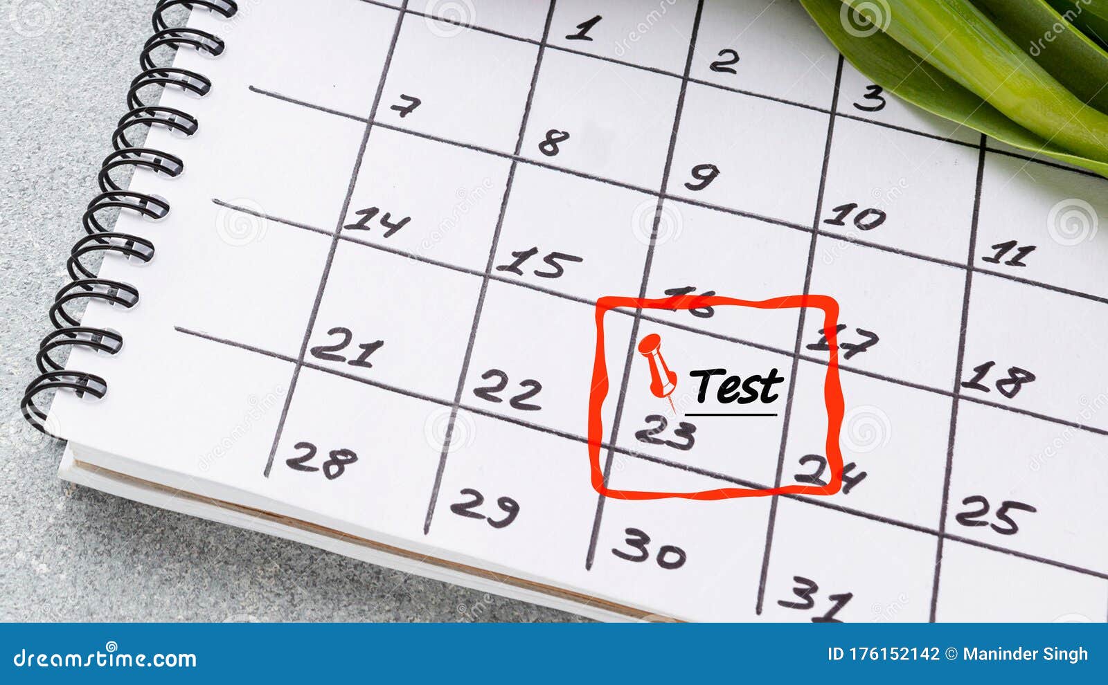 Date of Test. stock photo. Image of appointment, deadline - 176152142