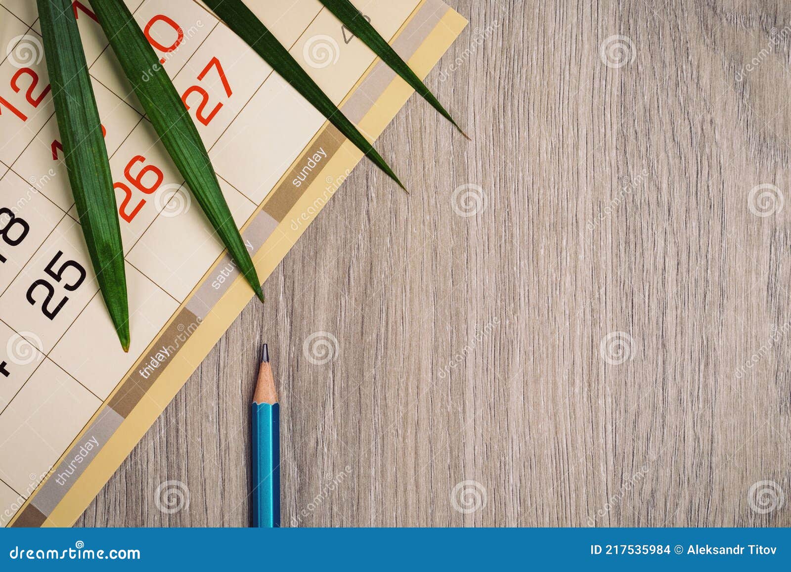 Sheet Of A Palm Tree Stock Photography | CartoonDealer.com #30540722