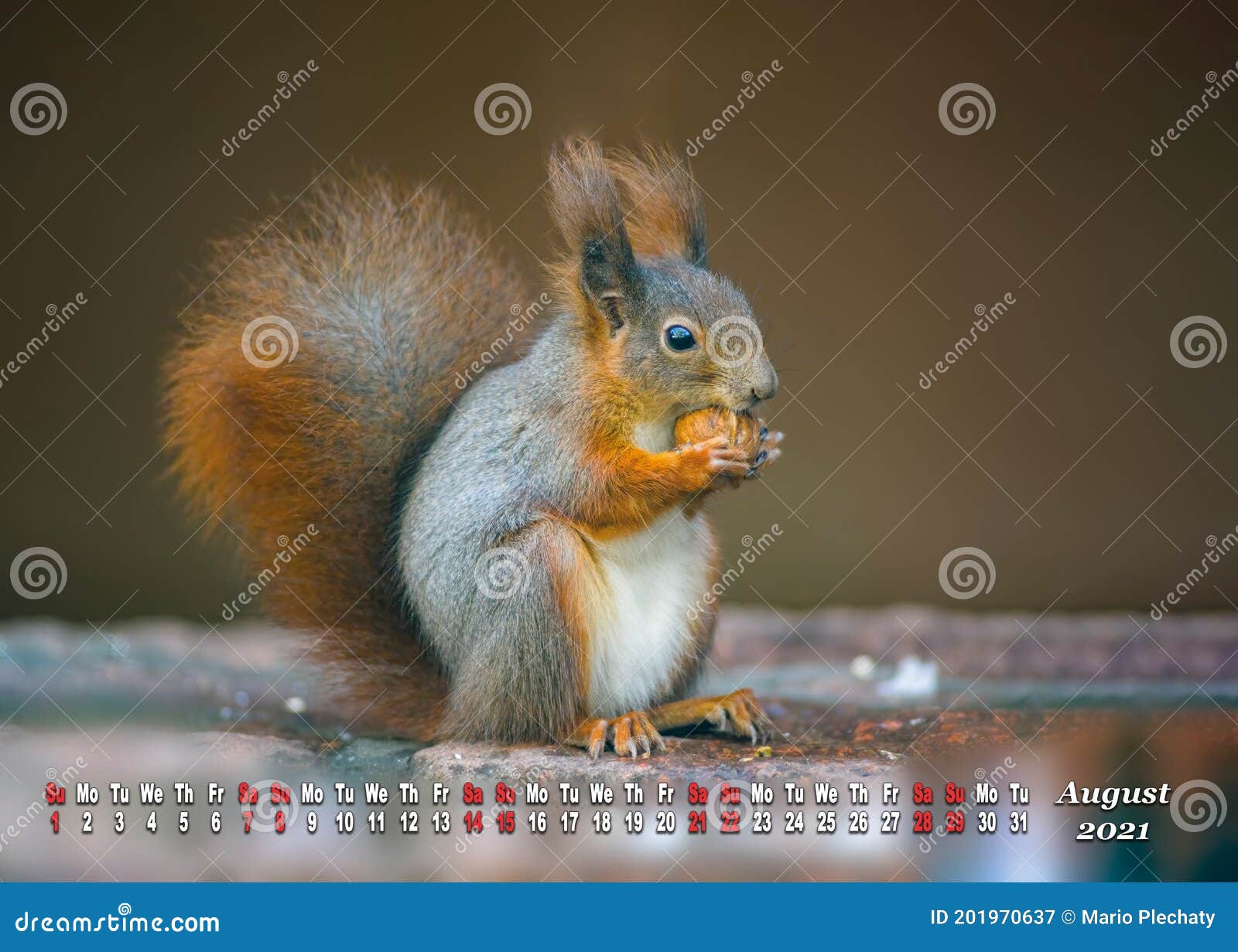 Calendar Sheet for 2021 with a Wild Living Animal Stock Image - Image ...