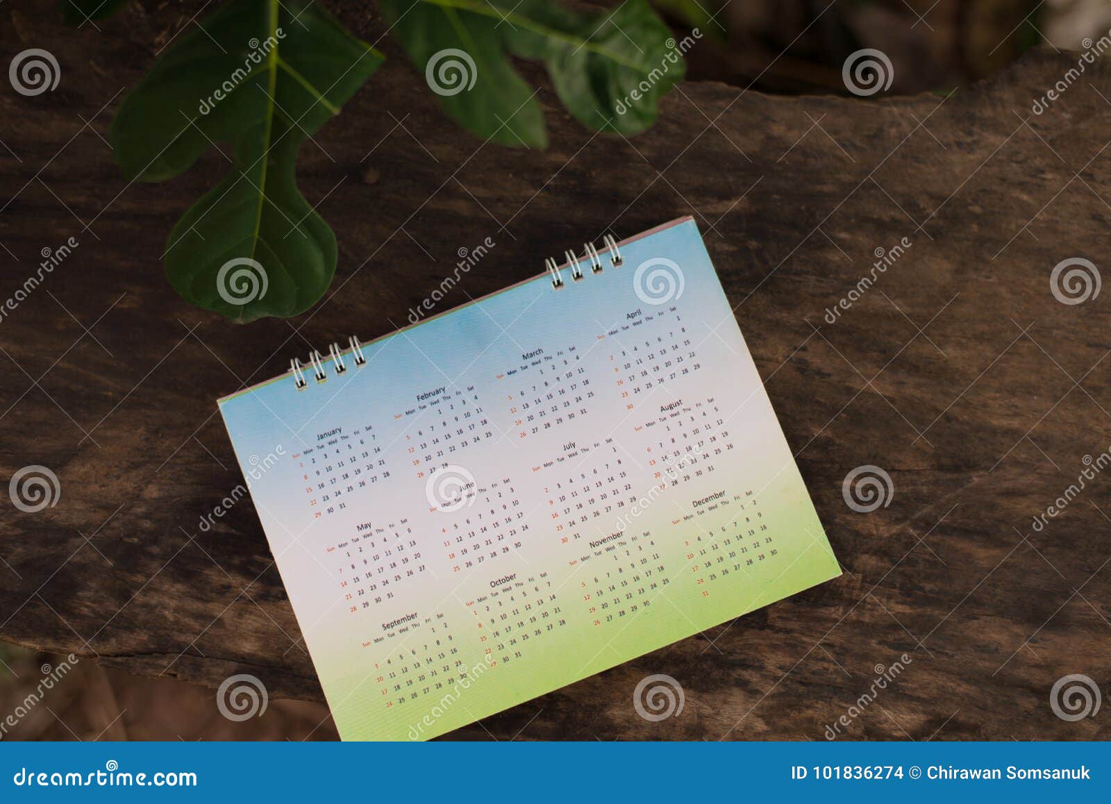 Calendario verde foto de archivo. Imagen de programa - 101836274