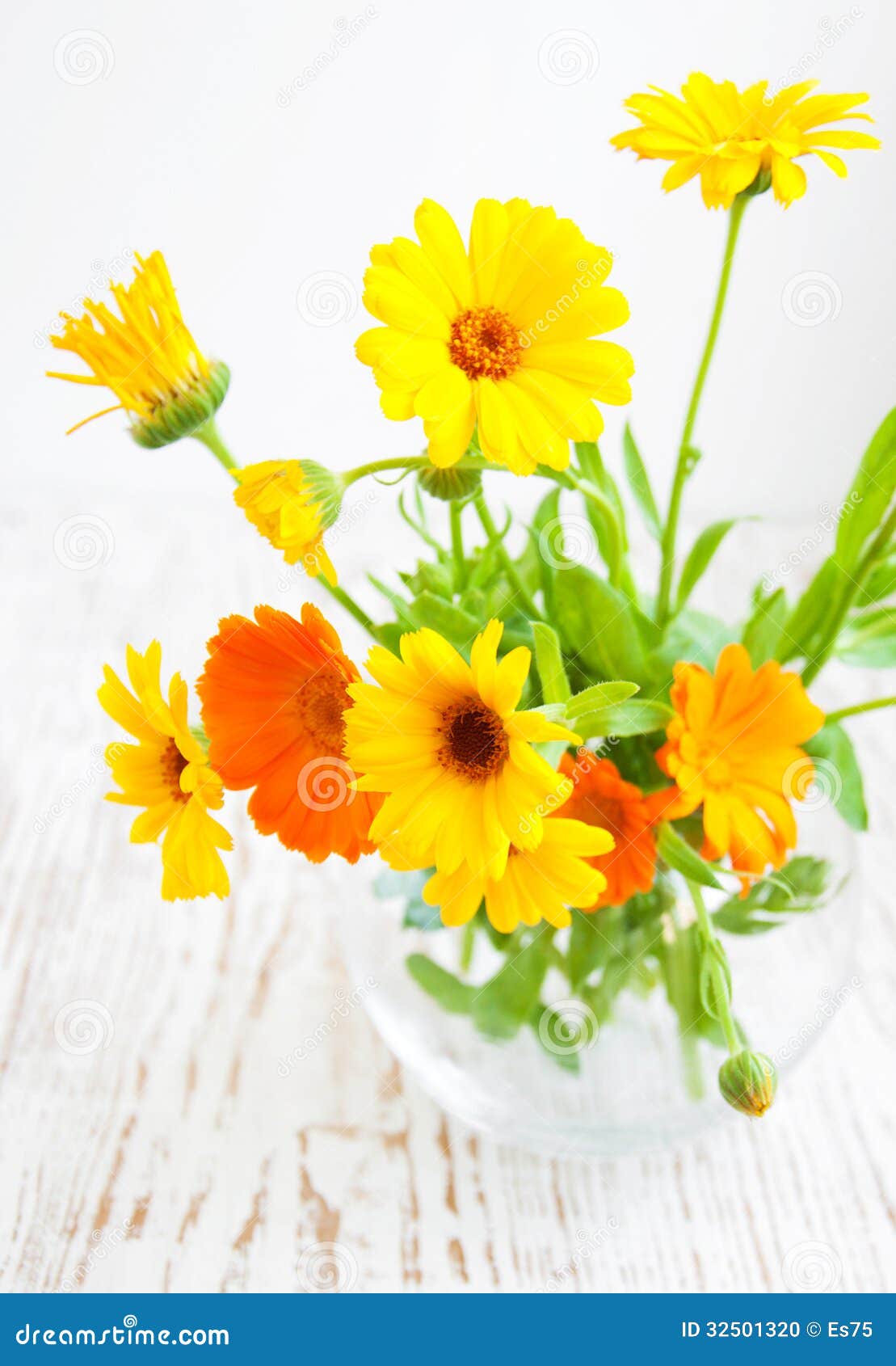 Calendula bouquet stock photo. Image of herbal, nature - 32501320