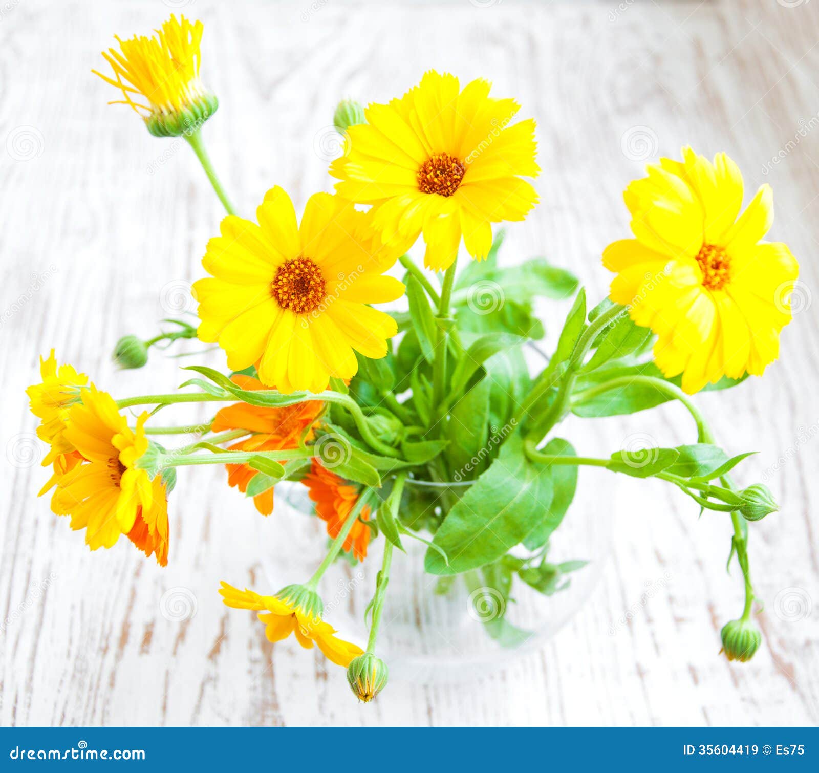 Calendula bouquet stock image. Image of orange, medicine - 35604419