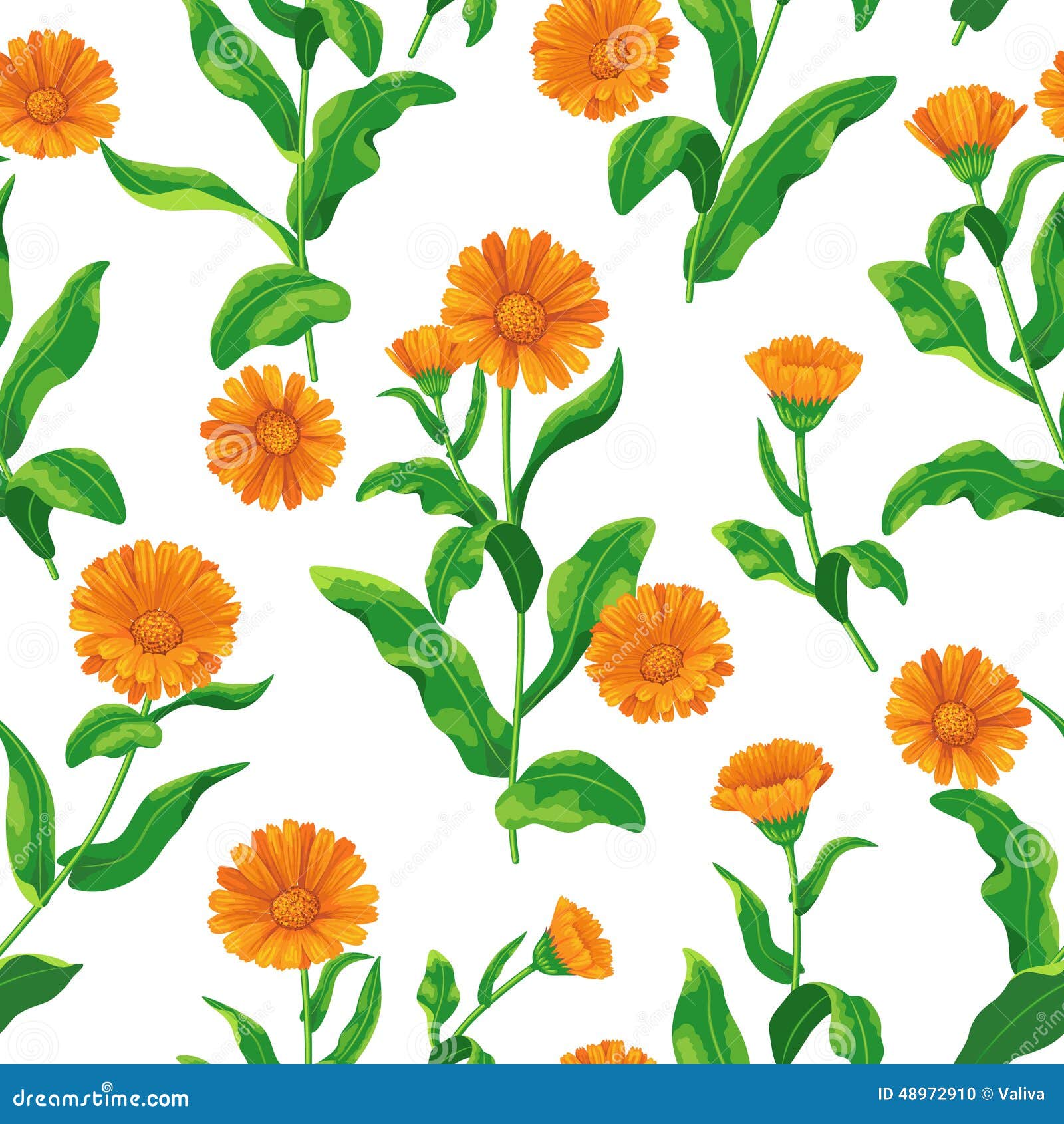 Calendula bunches pattern stock vector. Illustration of design - 48972910