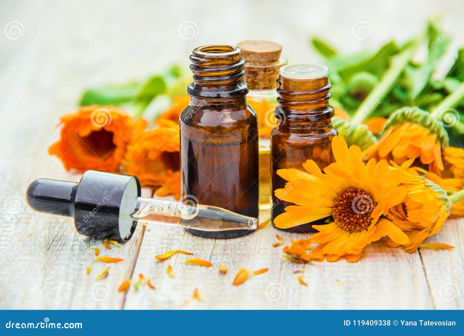 Calendula Extract and Flowers in a Small Bottle. Stock Photo - Image of ...