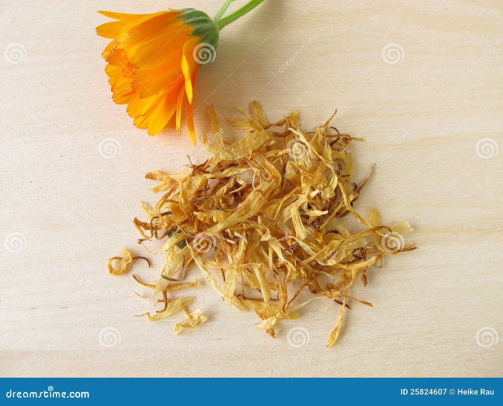 Calendula, Flos De Calendulae Imagen de archivo - Imagen de farmacia ...