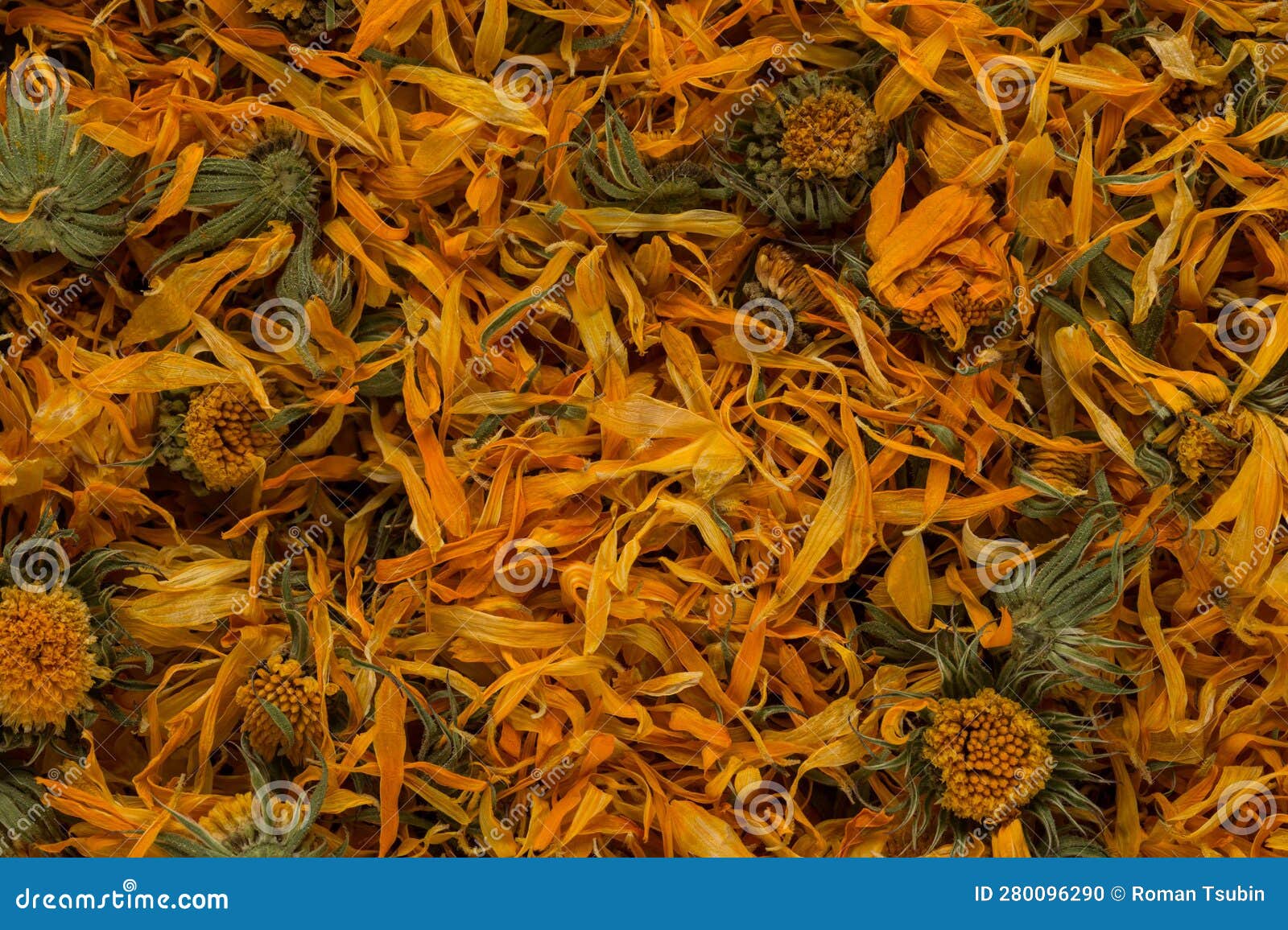 Calendula flowewr tea stock photo. Image of plant, drink - 280096290