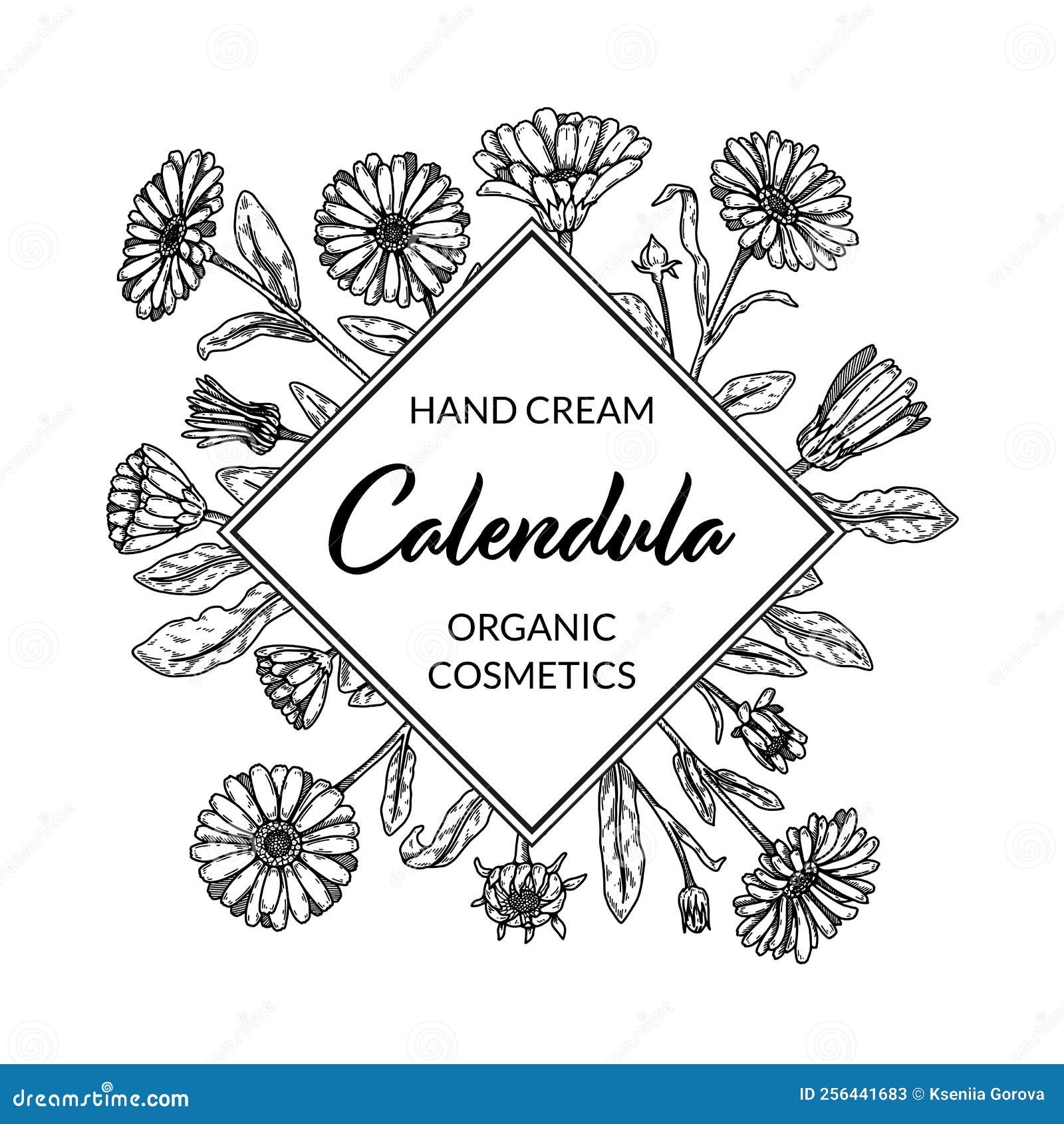 Calendula Frame with Hand Drawn Elements. Vector Illustration in Sketch ...