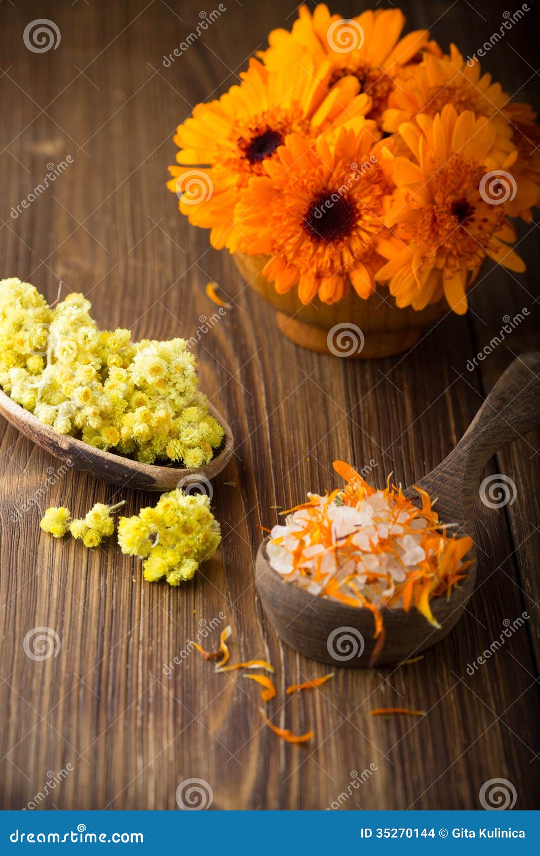 Calendula homeopathic. stock photo. Image of medicine - 35270144