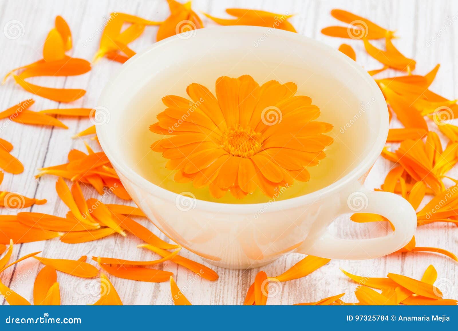 Calendula Officinalis Flower Infusion Stock Photo - Image of herbaceous ...