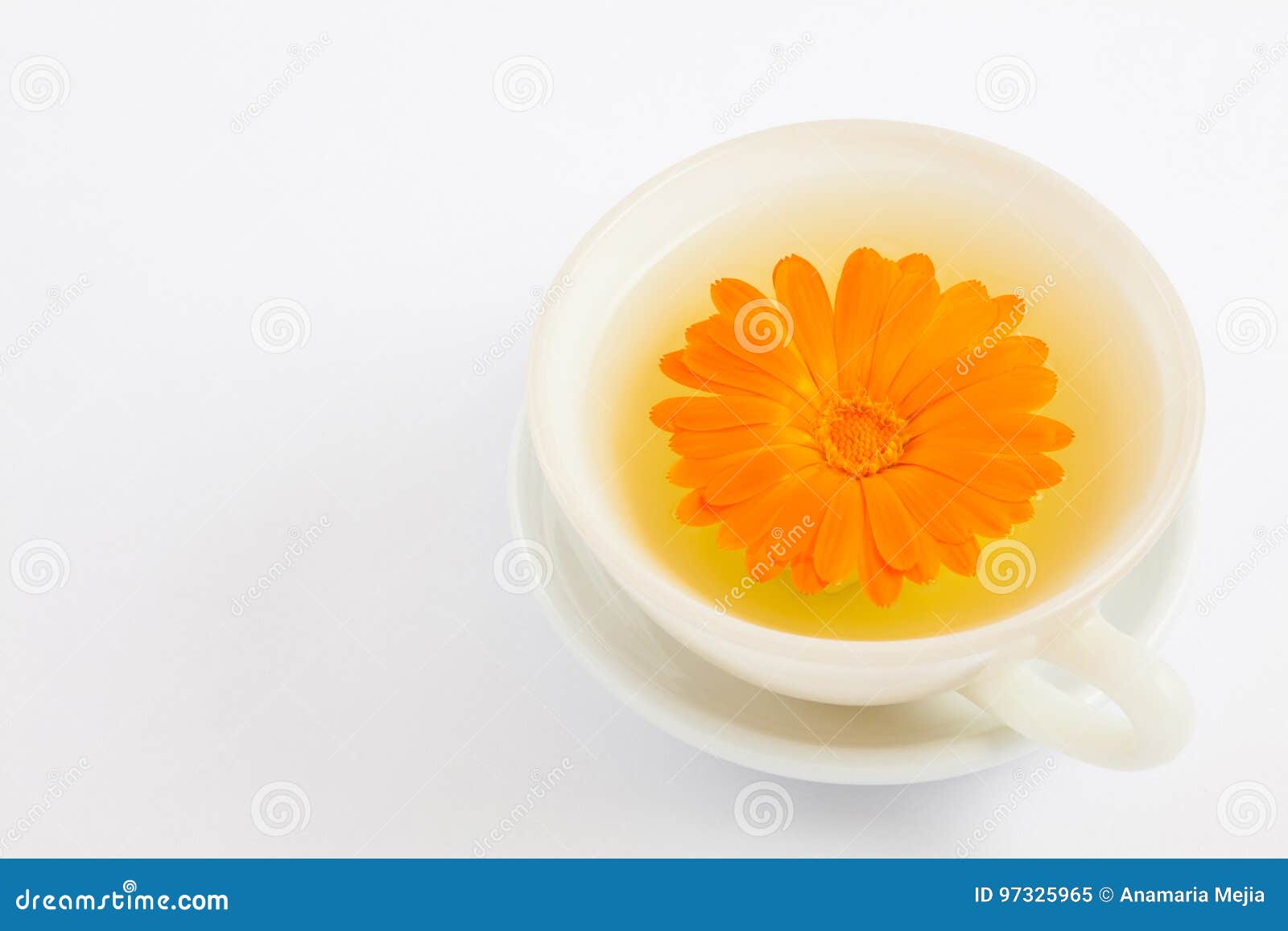 Calendula Officinalis Flower Infusion Stock Image - Image of healthy ...