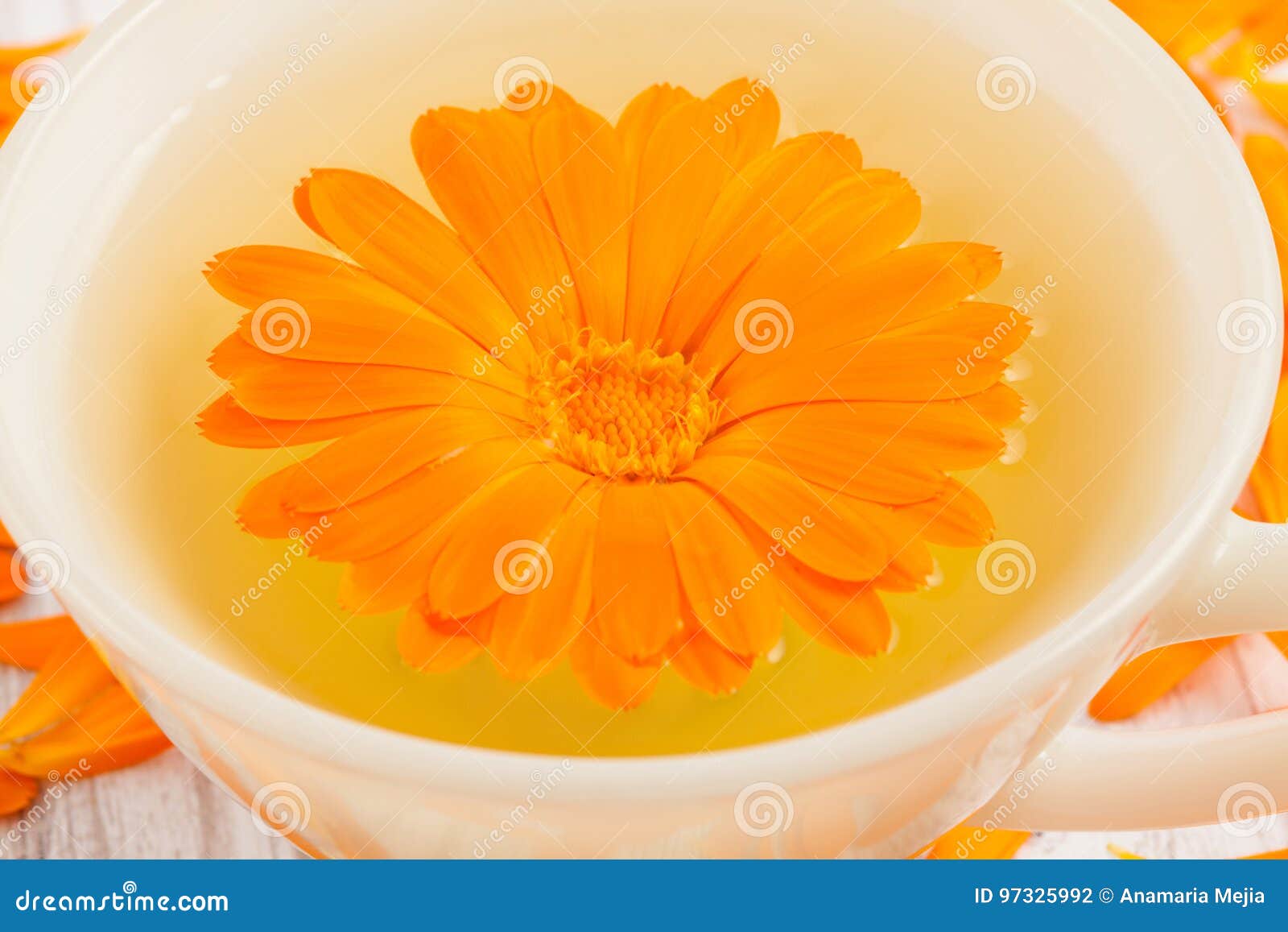 Calendula Officinalis Flower Infusion Stock Photo - Image of orange ...
