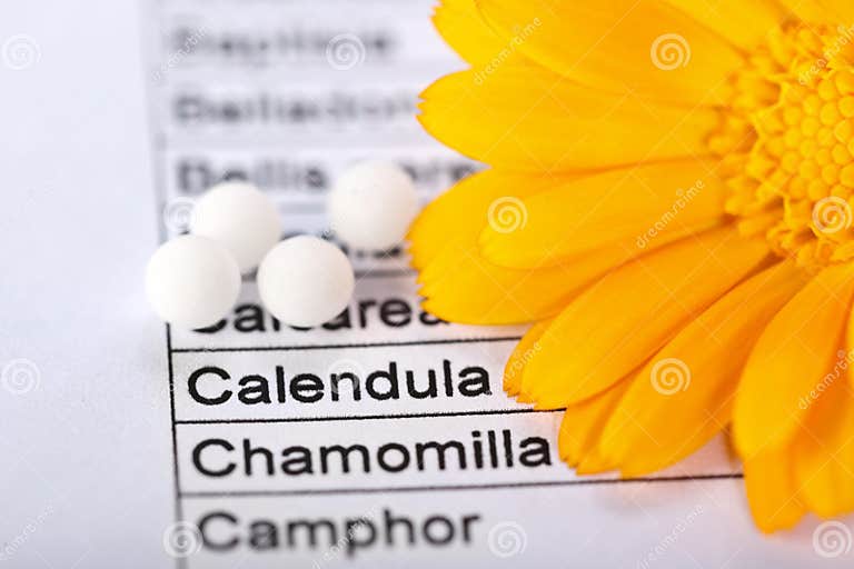 Calendula Officinalis and Word Focused on Sheet Stock Photo - Image of ...