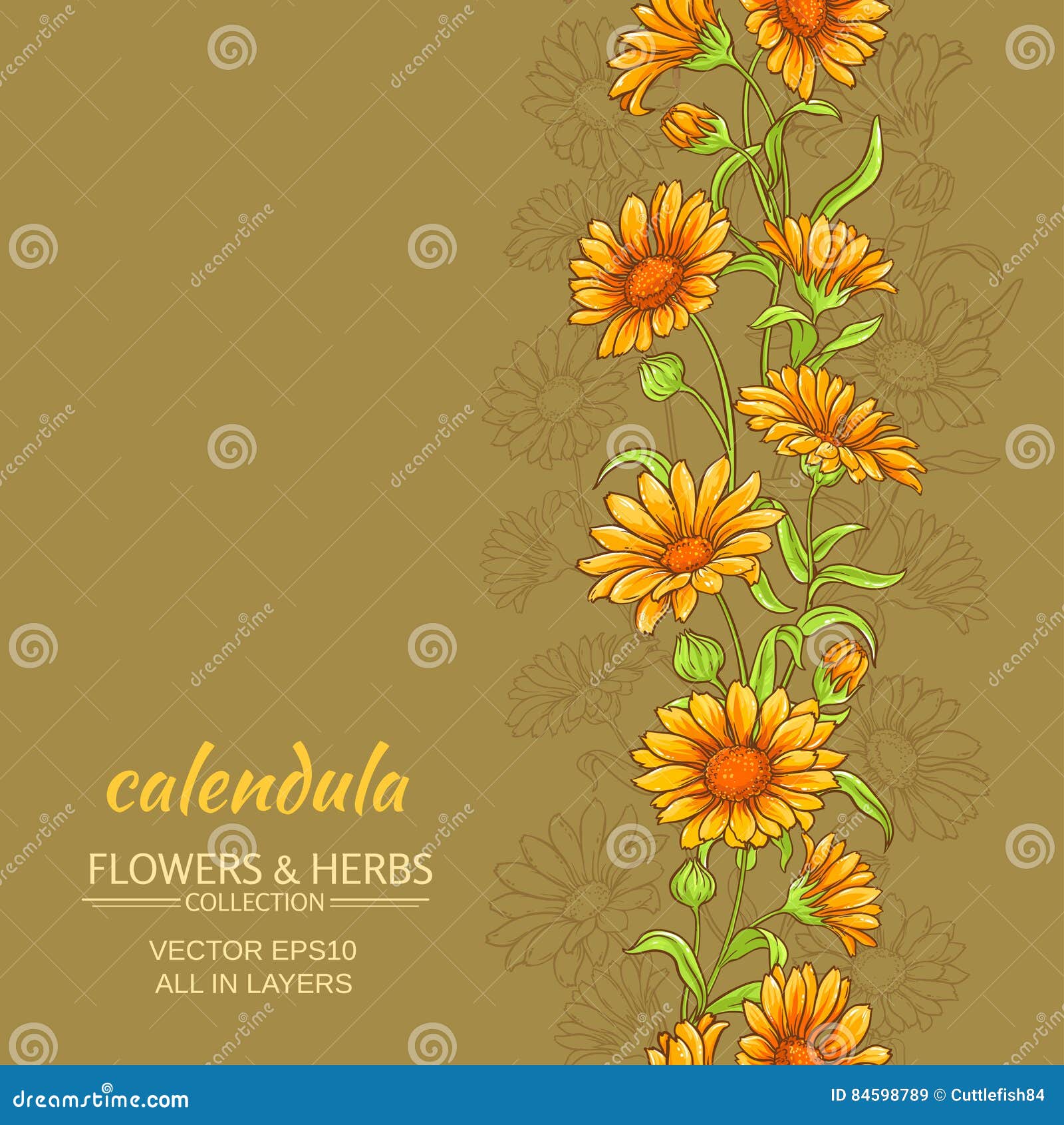 Calendula Vector Background Stock Vector - Illustration of blossom ...