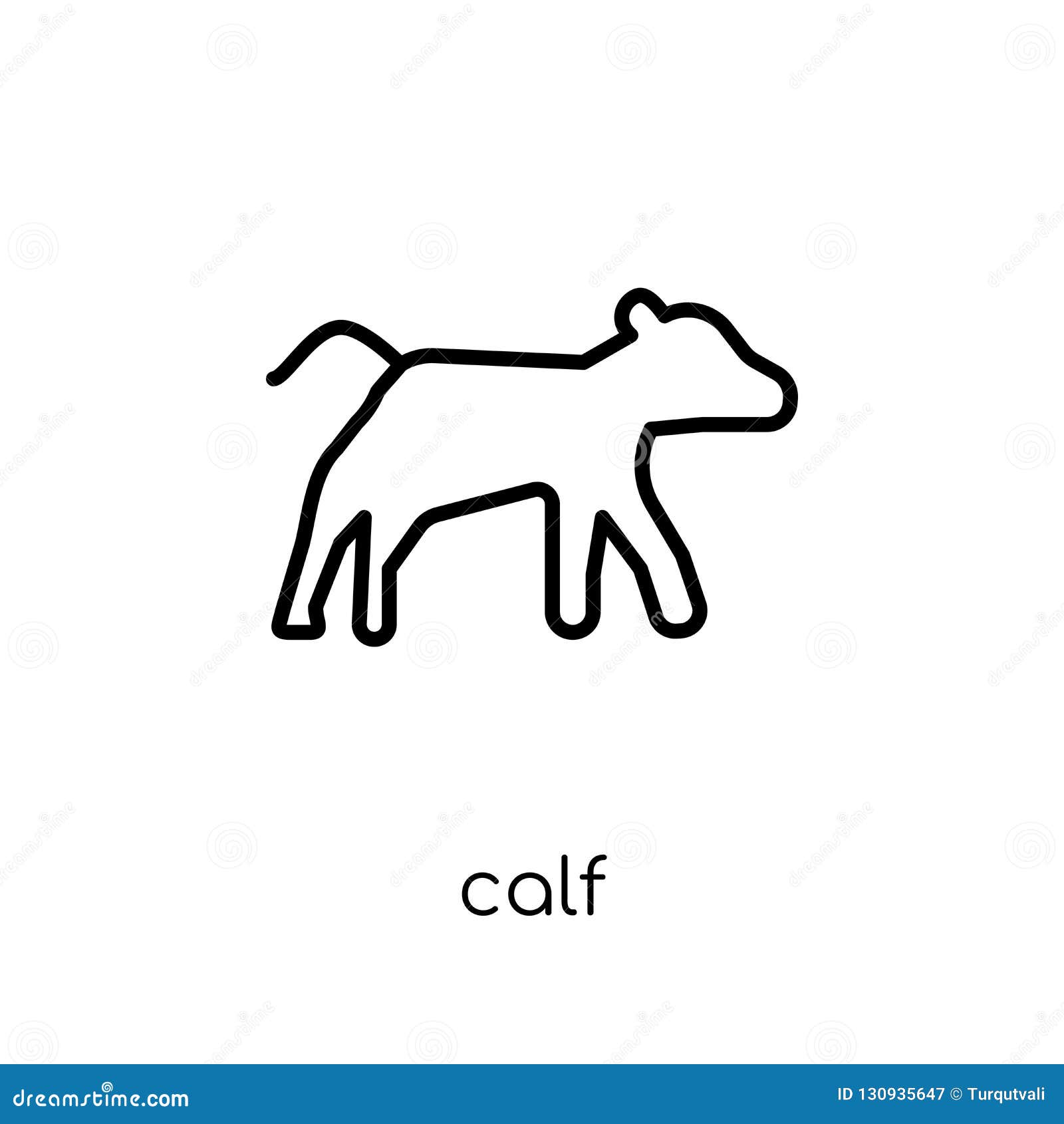 Calf Icon. Trendy Modern Flat Linear Vector Calf Icon on White B Stock ...
