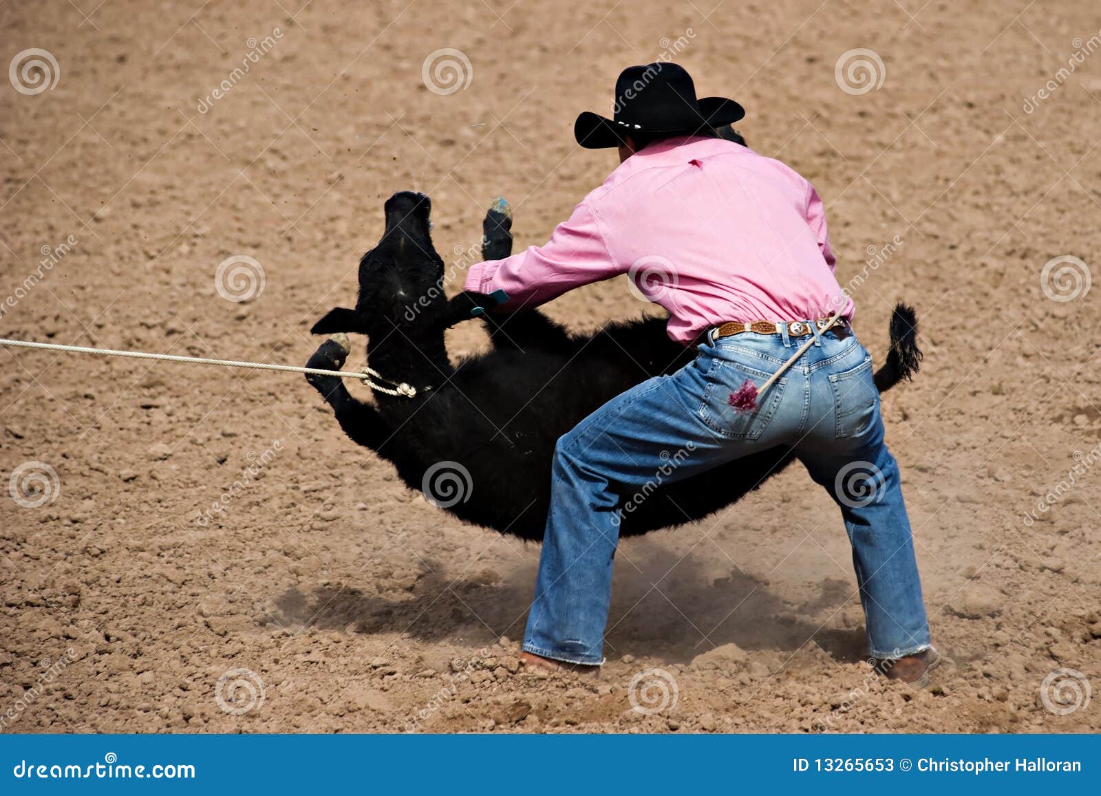 Calf roper editorial stock photo. Image of dutchman, rope - 13265653