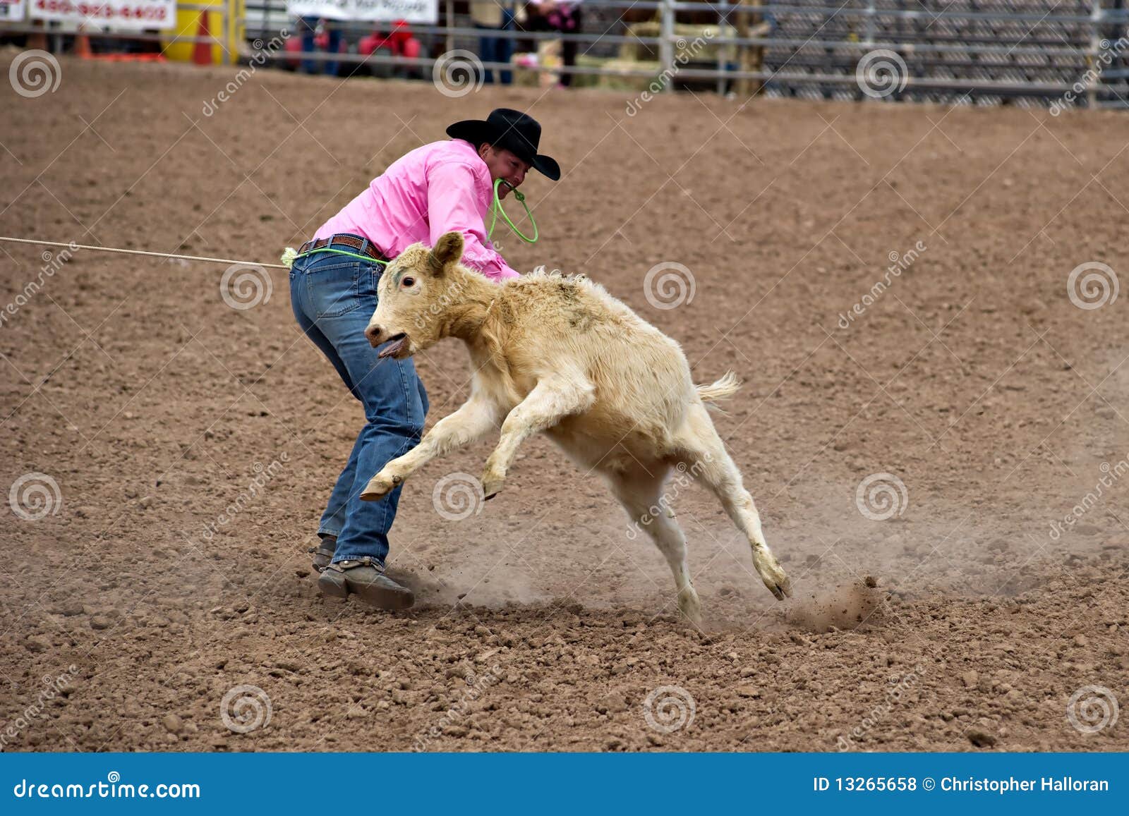 Calf roper editorial stock photo. Image of rodeo, days - 13265658