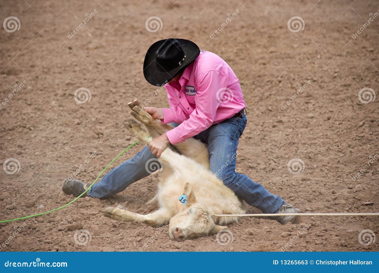 Calf roper editorial stock photo. Image of riding, cowboy - 13265663