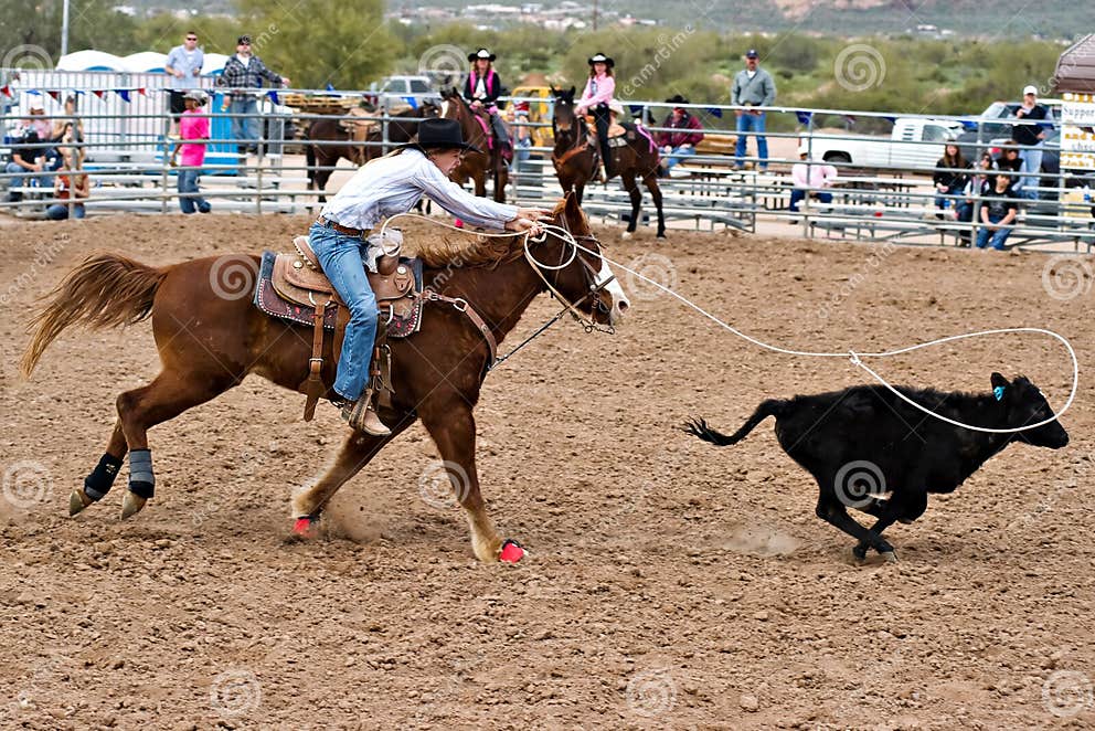 Calf roper editorial stock photo. Image of rodeo, arizona - 13265668