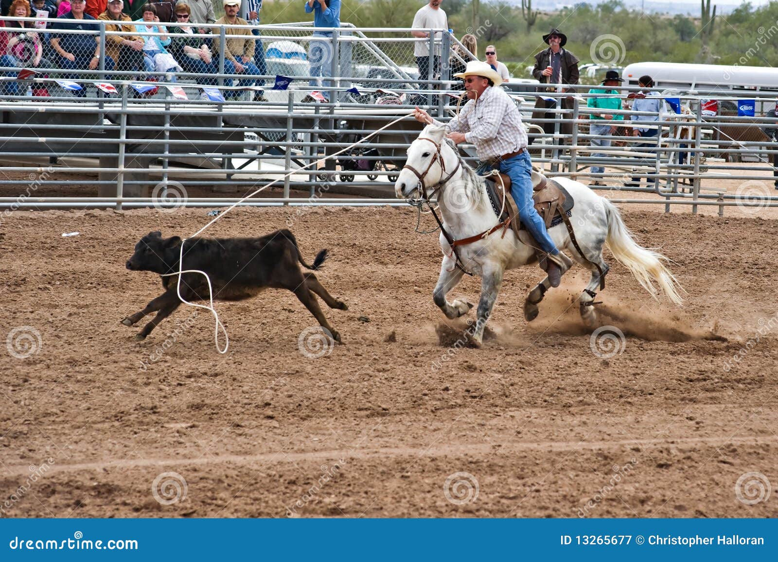 Calf roper editorial photography. Image of rope, days - 13265677