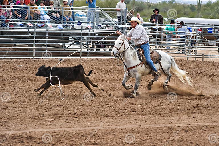 Calf roper editorial photography. Image of rope, days - 13265677