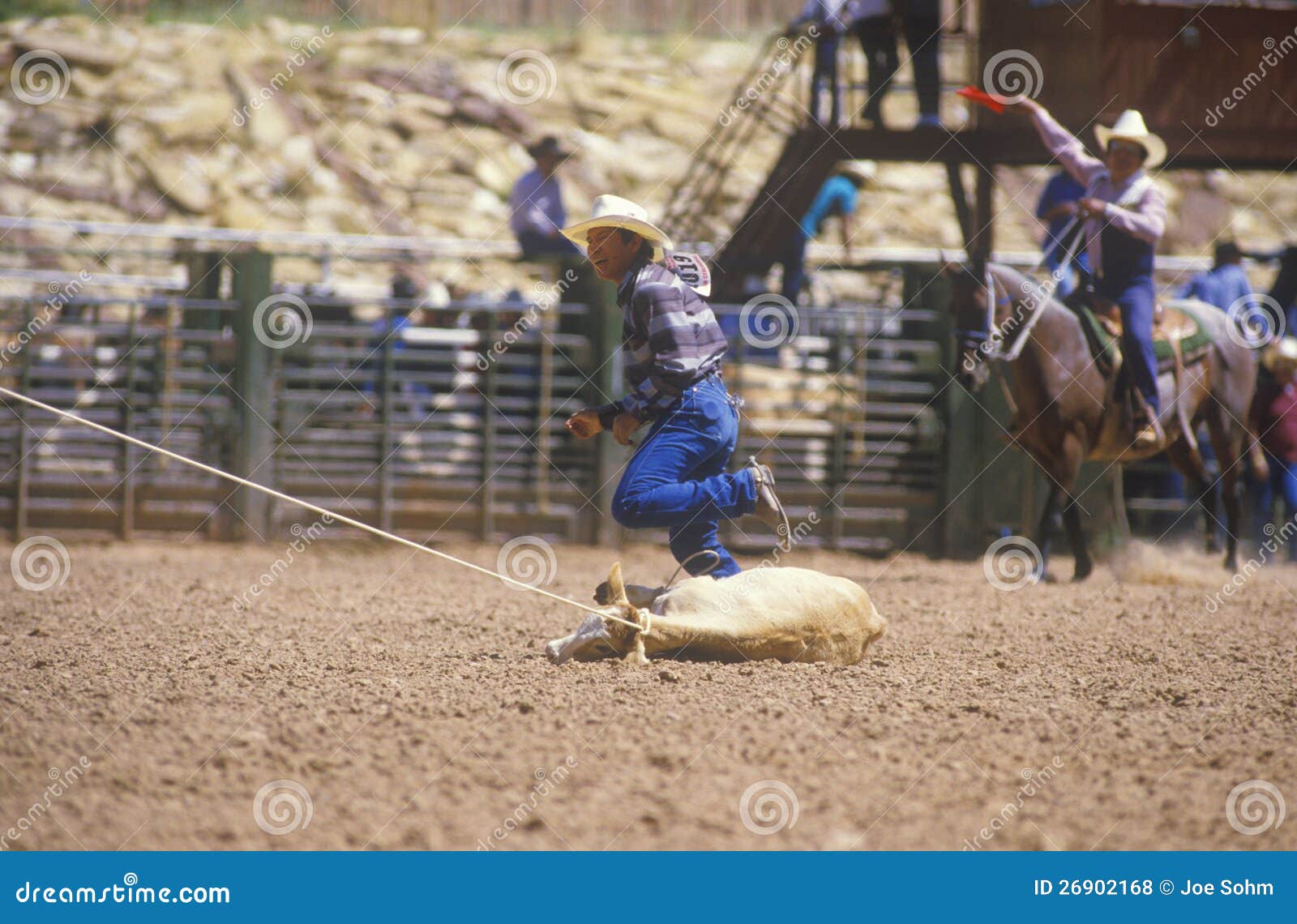 Calf roping editorial stock photo. Image of rodeo, indian - 26902168