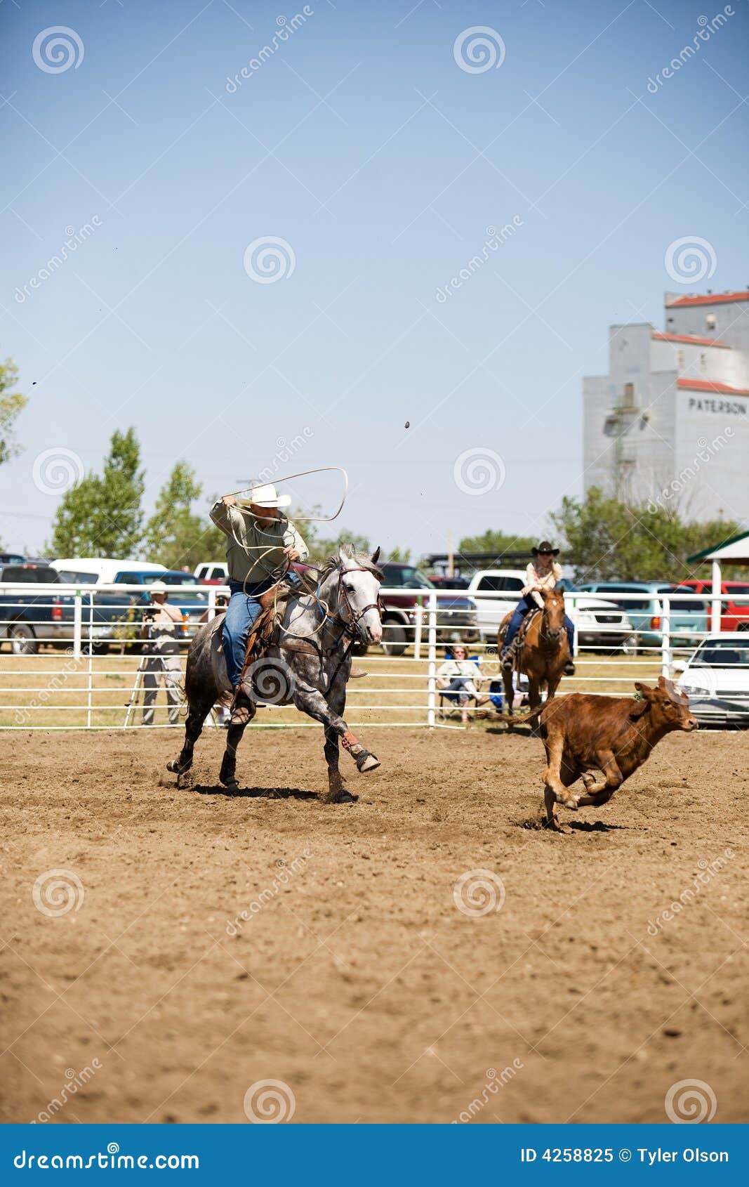 Calf Roping editorial image. Image of male, compete, gallop - 4258825