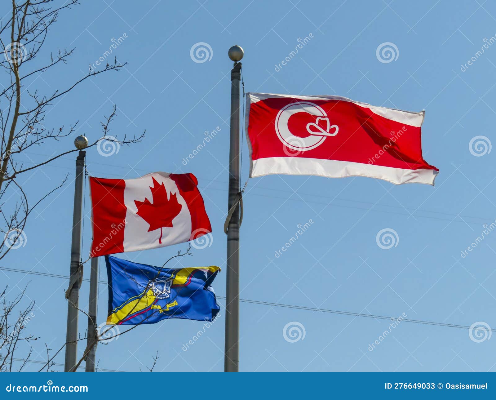 A Calgary Flag Next To a Canada Flag with a Calgary Fire Department ...