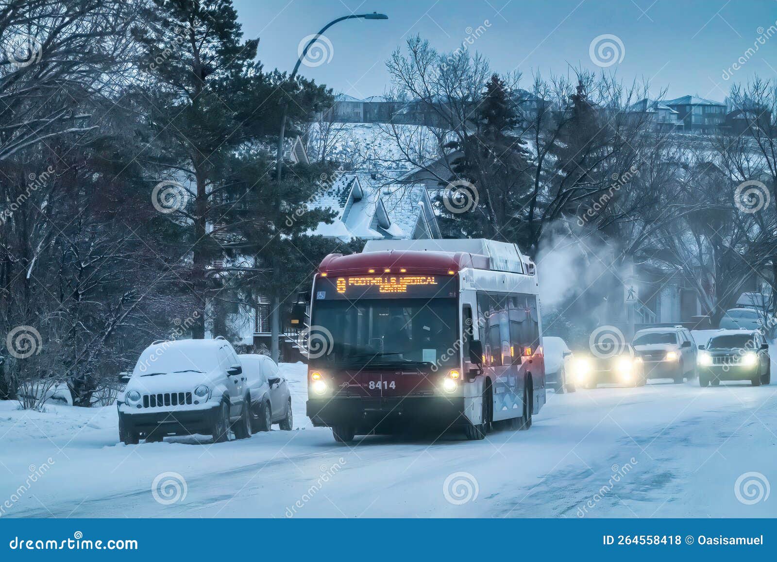 A Calgary Bus during Working during Extreme Cold in Winter Time ...