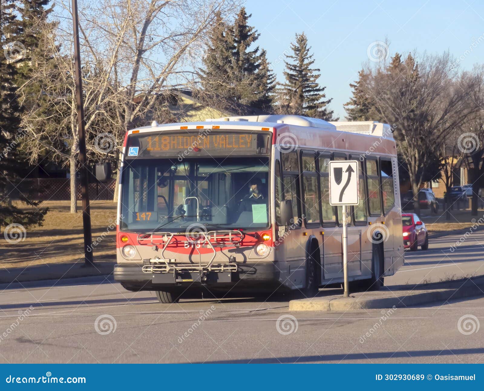 A Calgary Public Transit Bus Following Its Regular Route Editorial ...