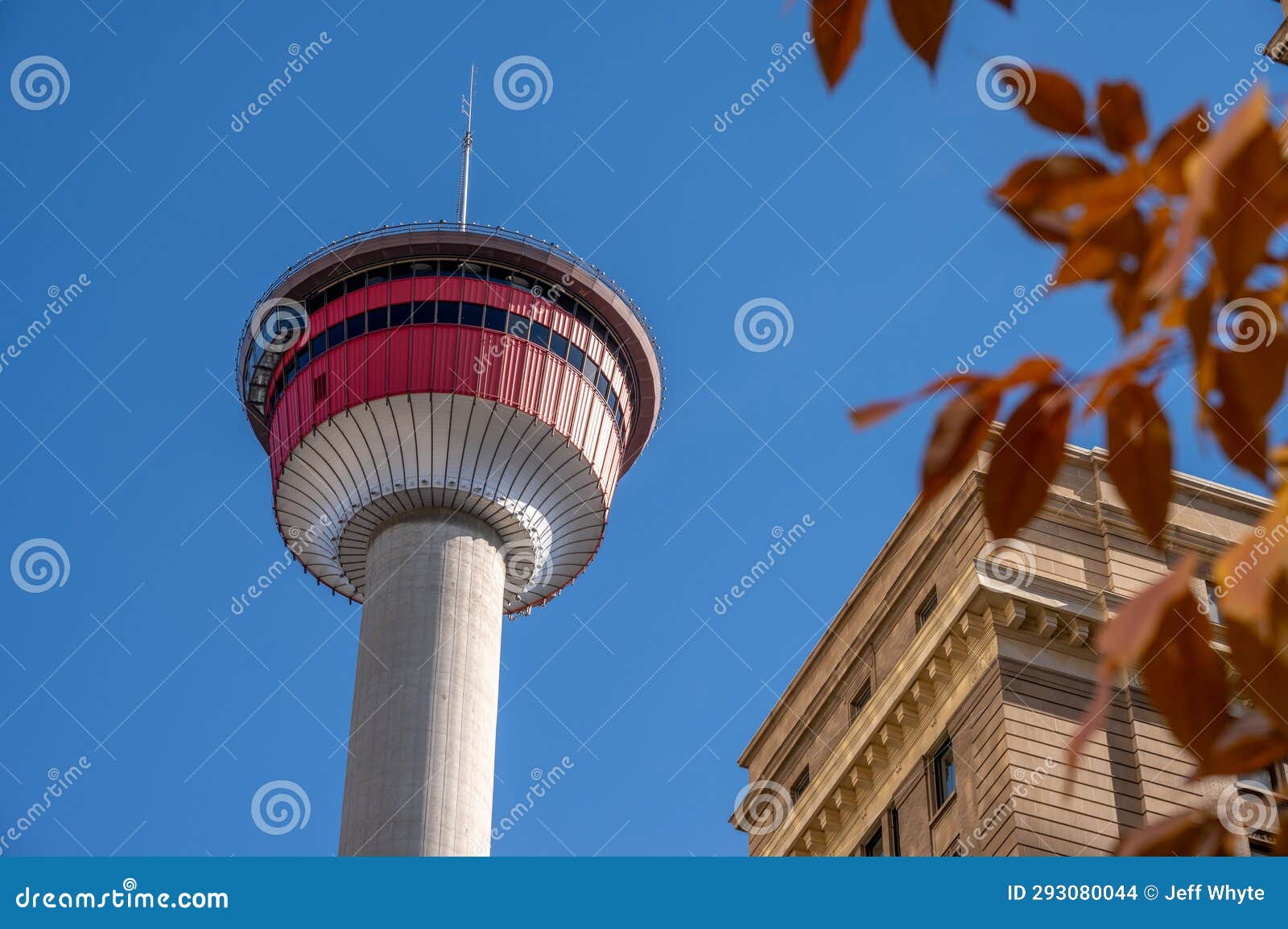 View of the Calgary Tower in Calgary S Downtown Editorial Stock Image ...