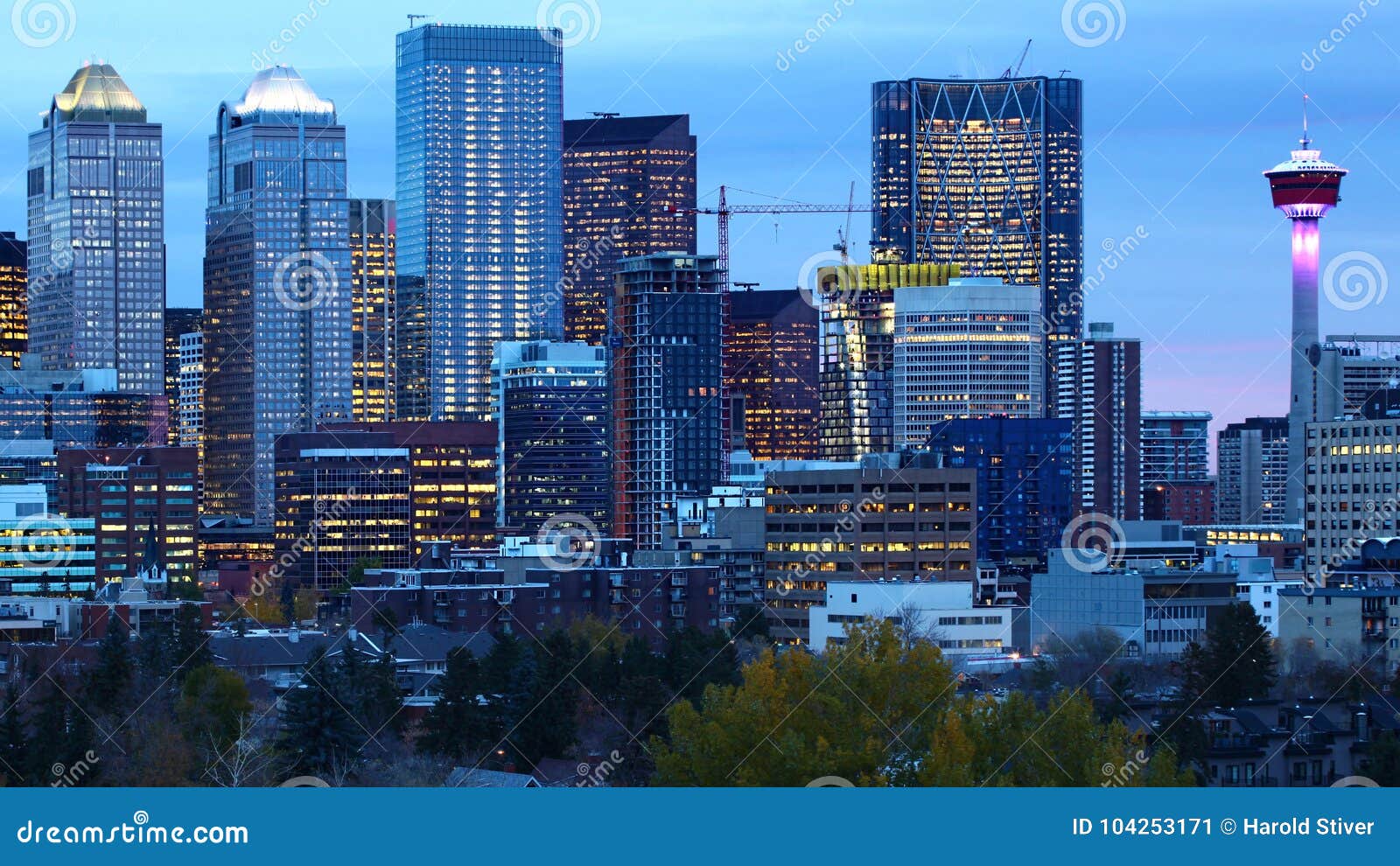 Calgary, Alberta Skyline after Dark Stock Image - Image of downtown ...