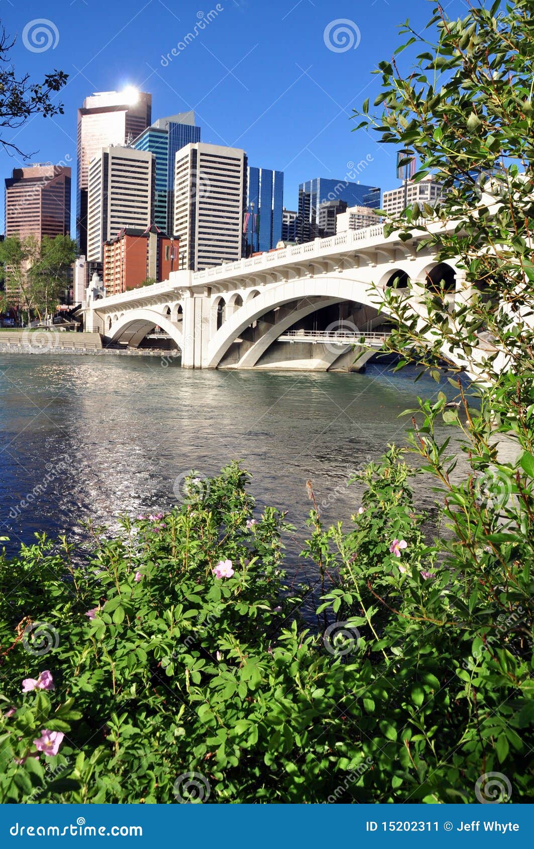Calgary, Bow River stock image. Image of company, head - 15202311