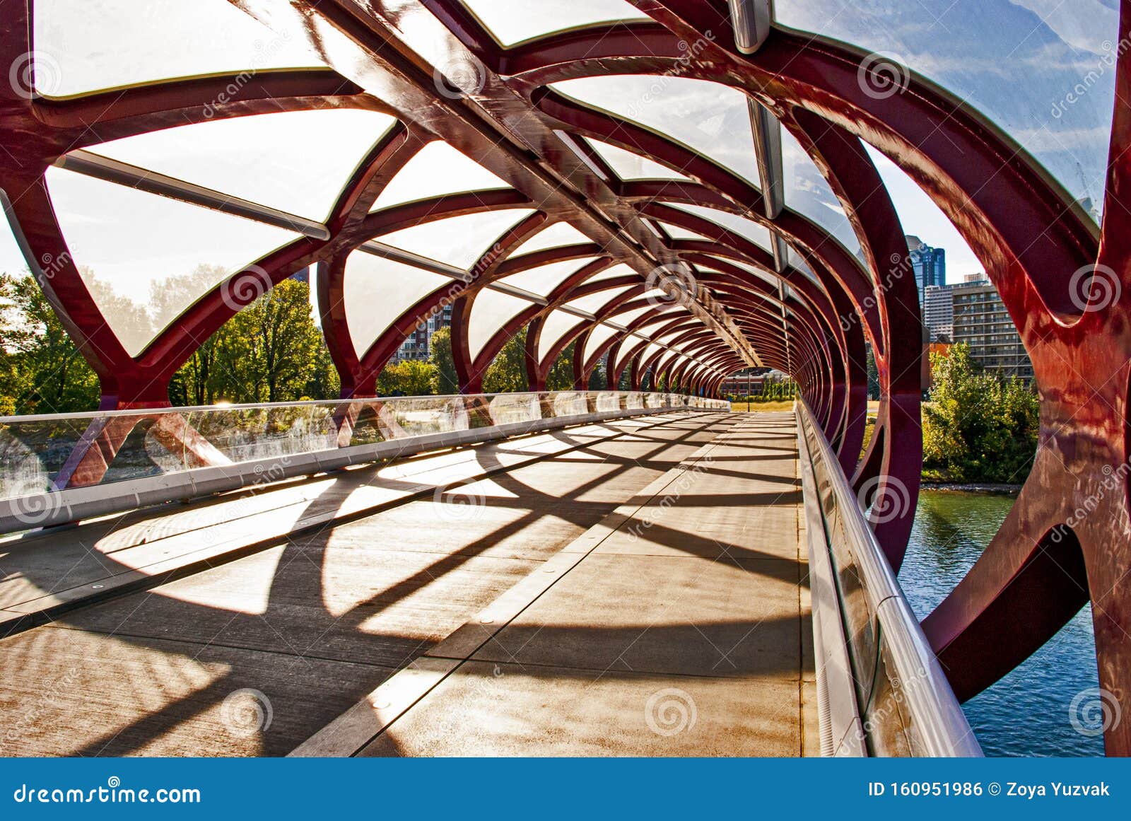 Calgary Peace Bridge Over the Bow River Editorial Photo - Image of ...