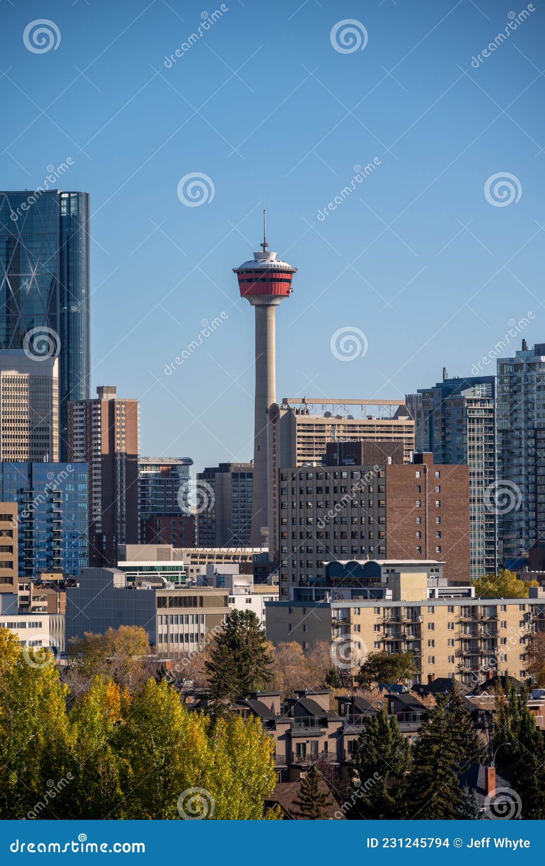 Calgary Urban Downtown in Autumn Stock Photo - Image of people ...