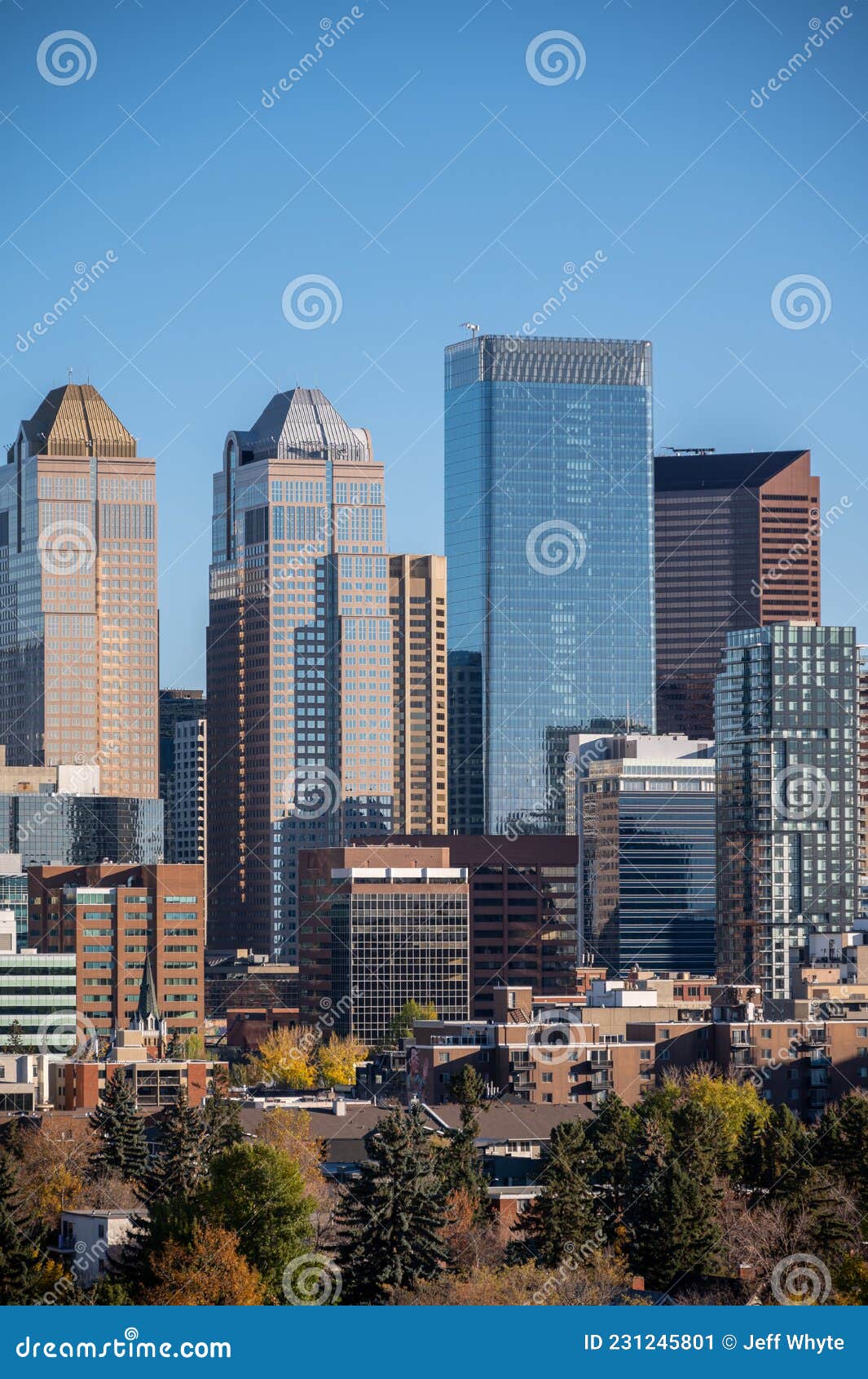 Calgary Urban Downtown in Autumn Stock Image - Image of bankers ...