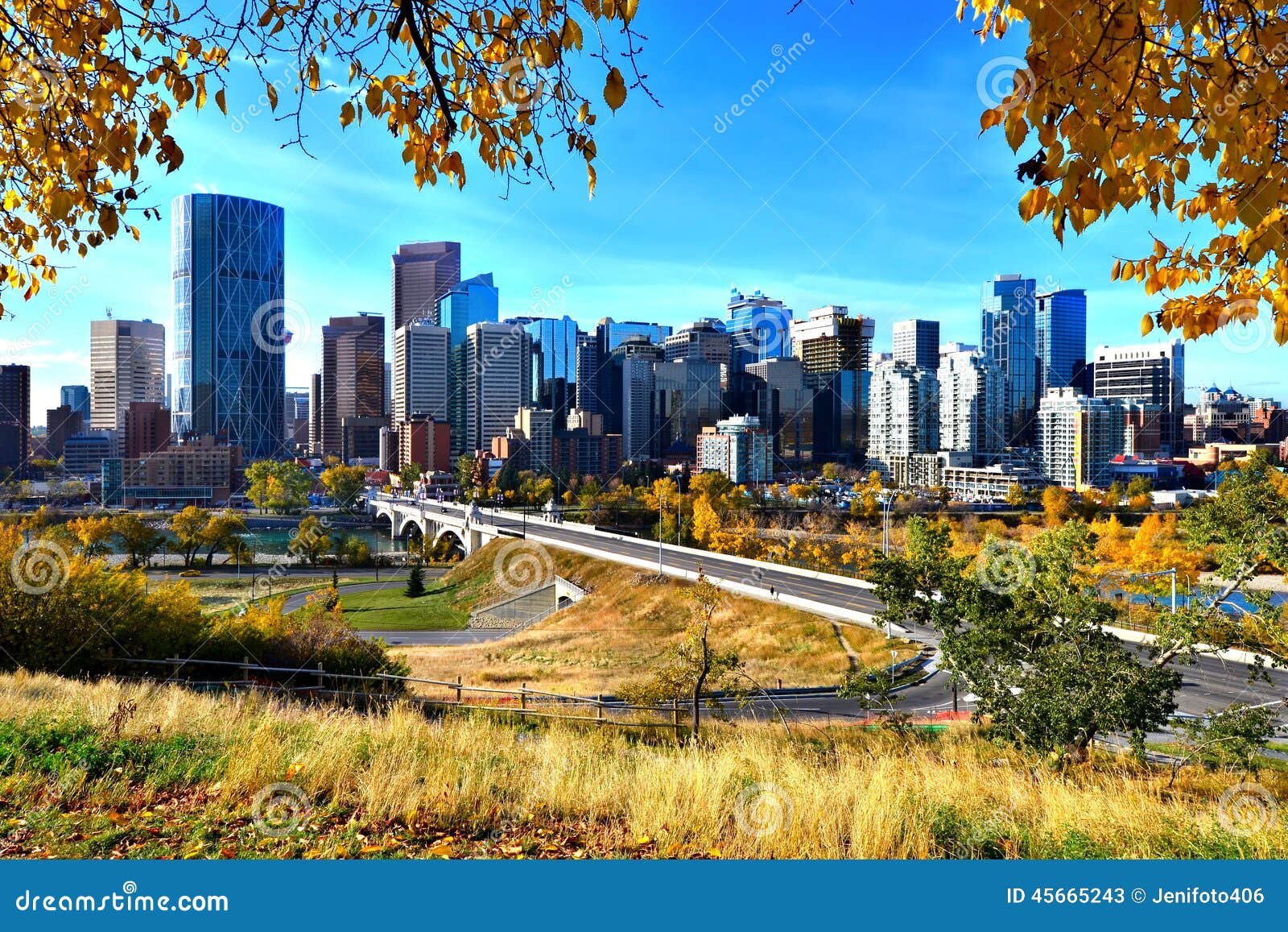 Calgary Skyline during Autumn Stock Image - Image of grass, season ...