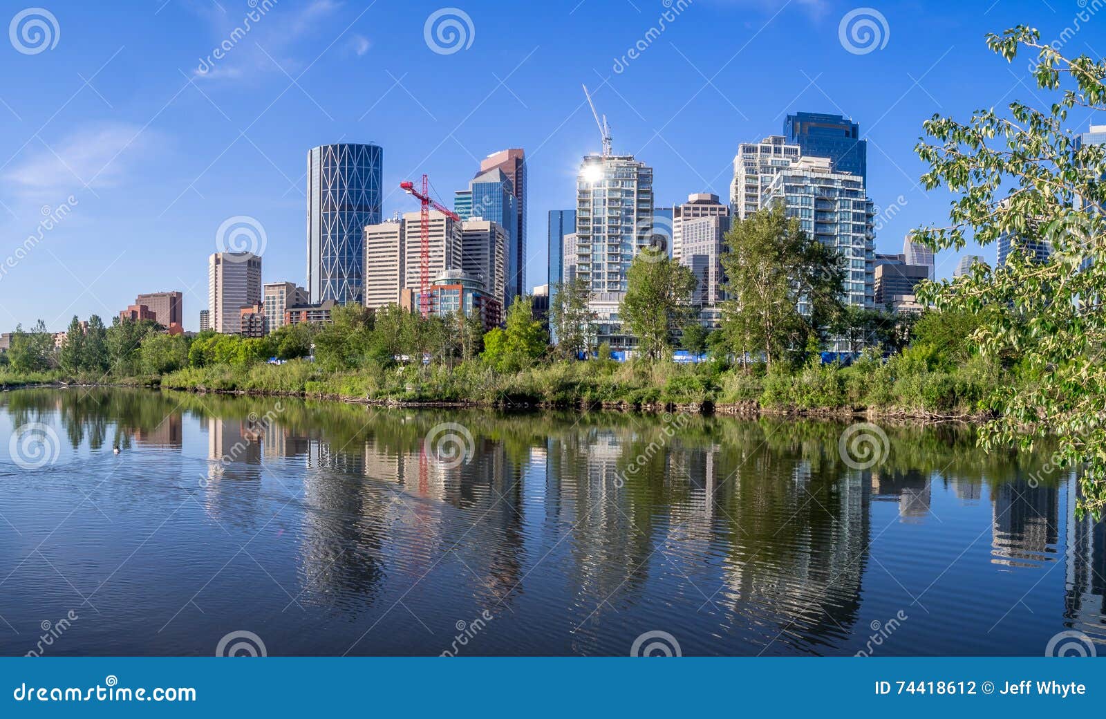 Calgary Skyline Reflected in a Wetland Stock Photo - Image of centre ...