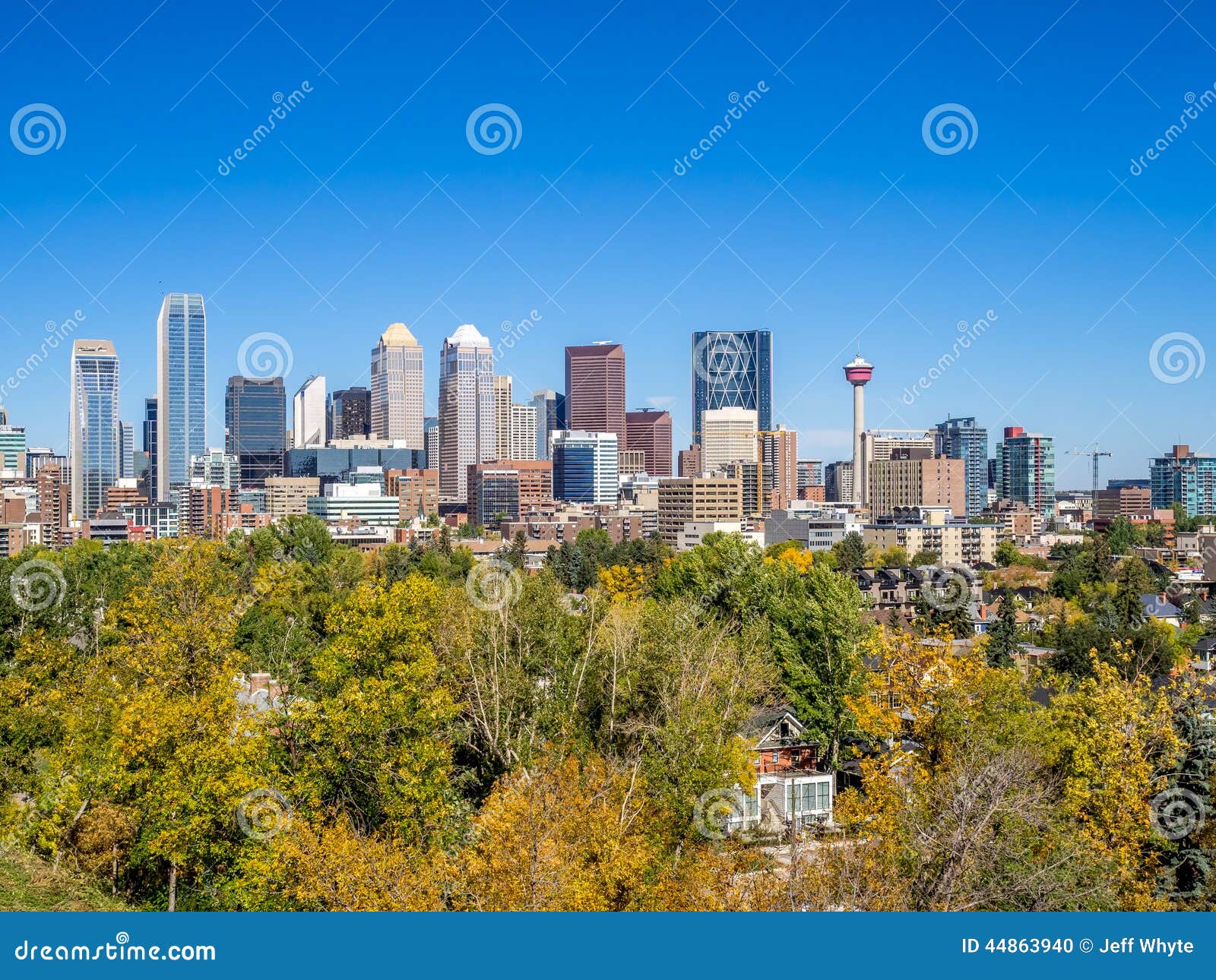 Calgary skyline stock photo. Image of city, landscaping - 44863940
