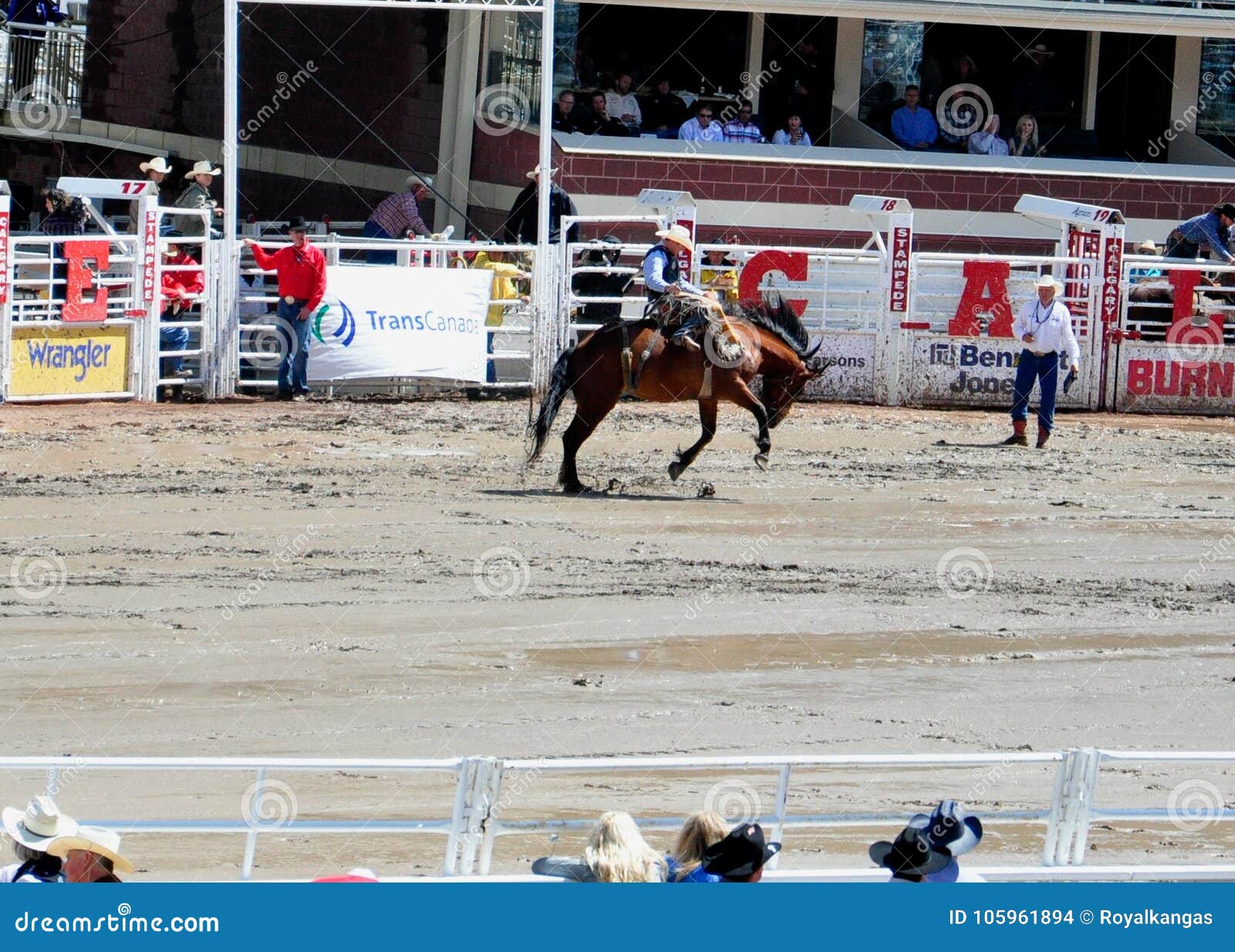 Calgary Stampede Rodeo editorial stock image. Image of calgary - 105961894