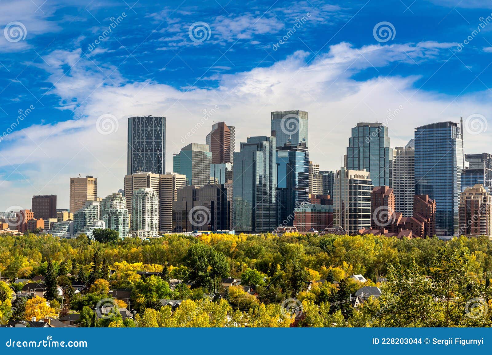 Calgary in Sunny Day, Canada Stock Photo - Image of city, canada: 228203044