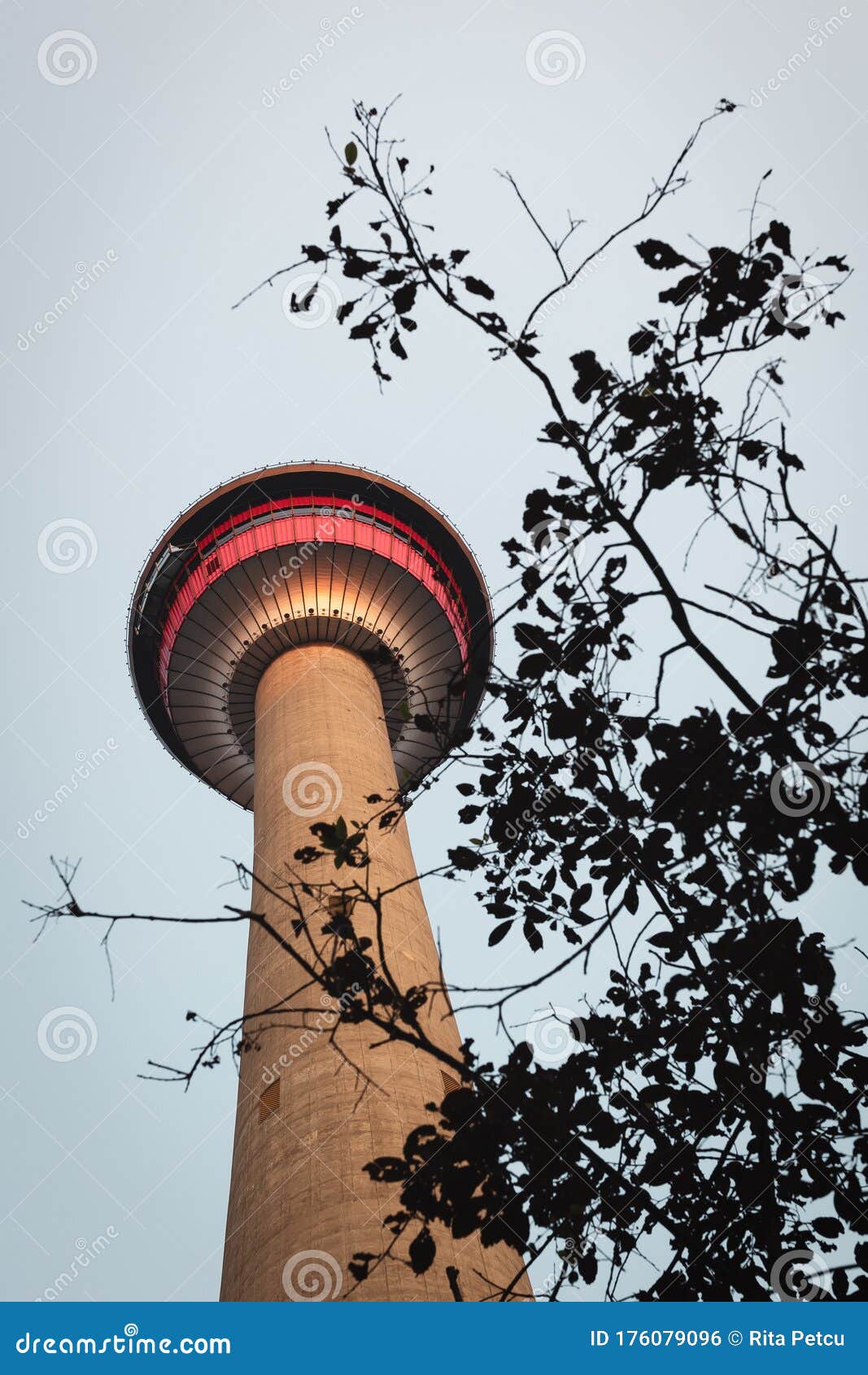 Calgary Tower stock photo. Image of lifted, canada, canadian - 176079096
