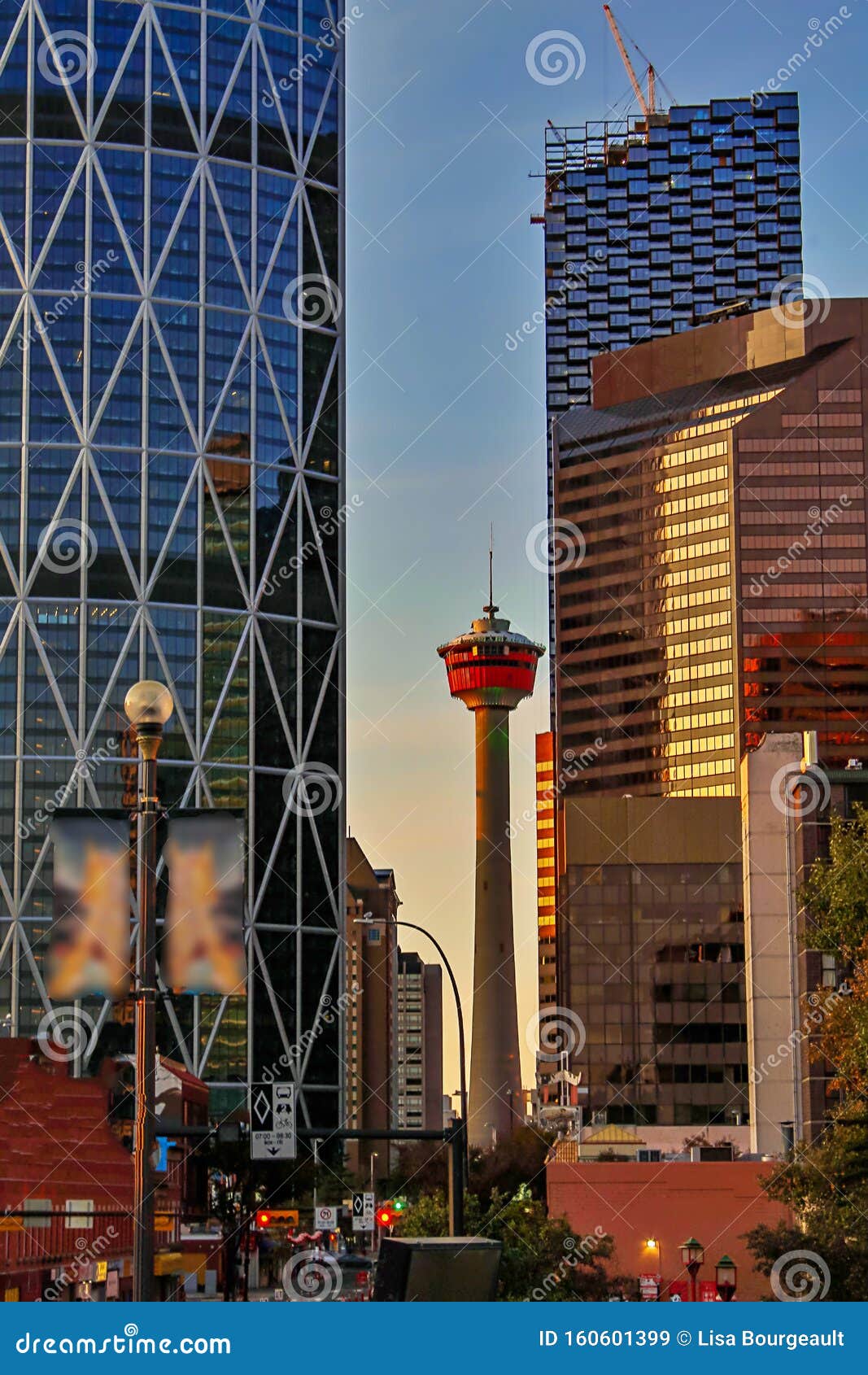Calgary Tower Standing Tall Editorial Stock Image - Image of dawn ...