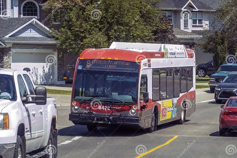 A Calgary Transit Bus on the Route during Spring Editorial Stock Image ...
