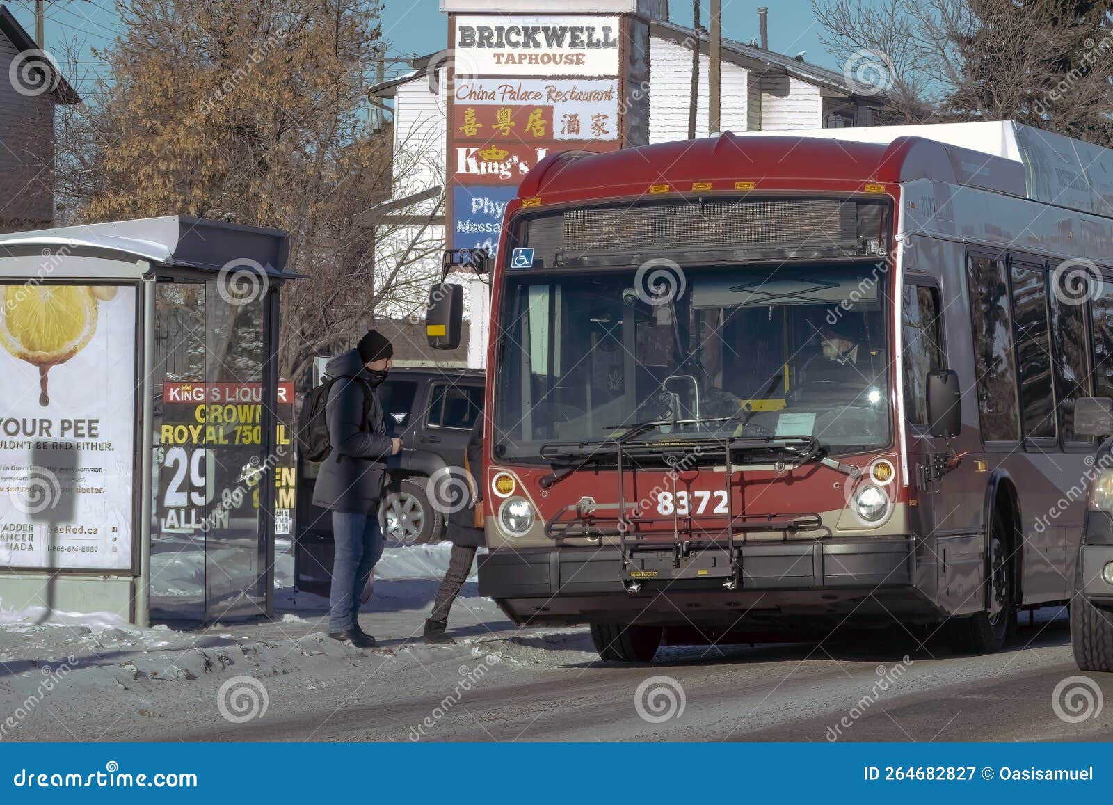 A Calgary Transit Bus at a Stop Bus during Winter Time in the Afternoon ...