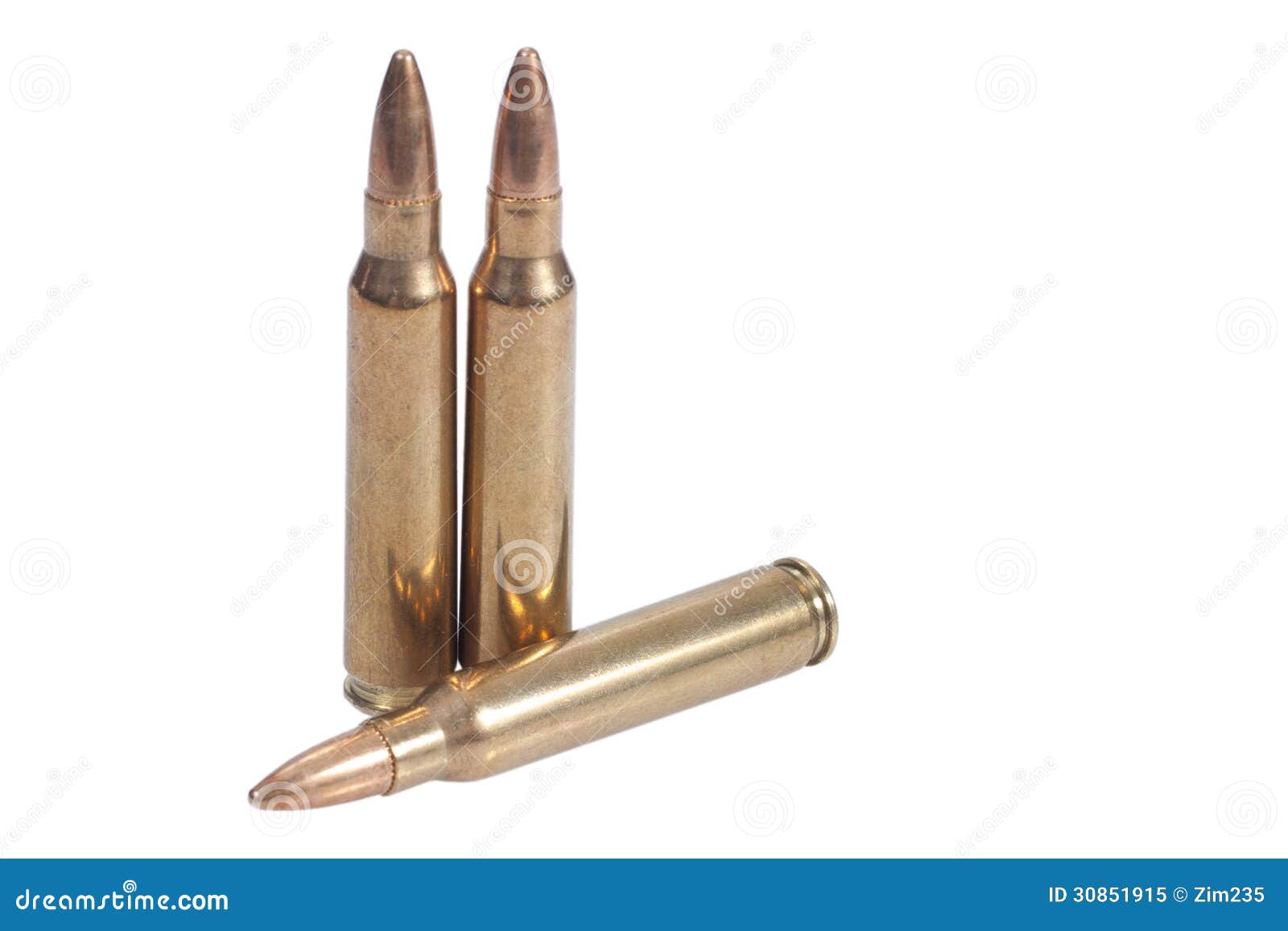 223 caliber stock image. Image of shell, defense, brass - 30851915