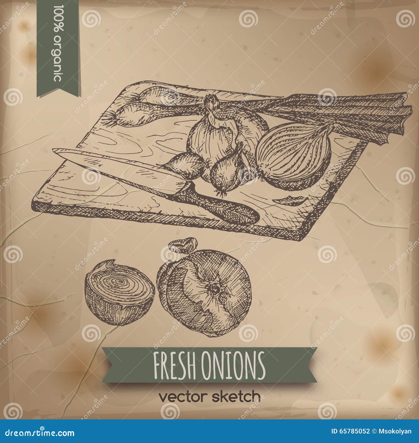 Calibre D'oignons De Vintage Illustration de Vecteur - Illustration du ...