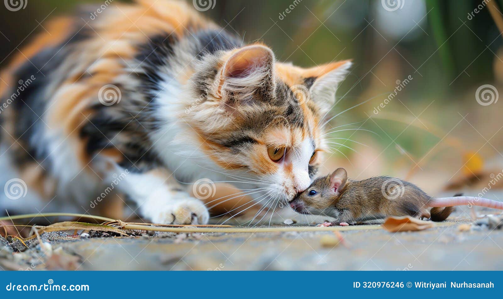 Calico Cat Playing with a Rodent it Caught . Generative Ai Stock ...