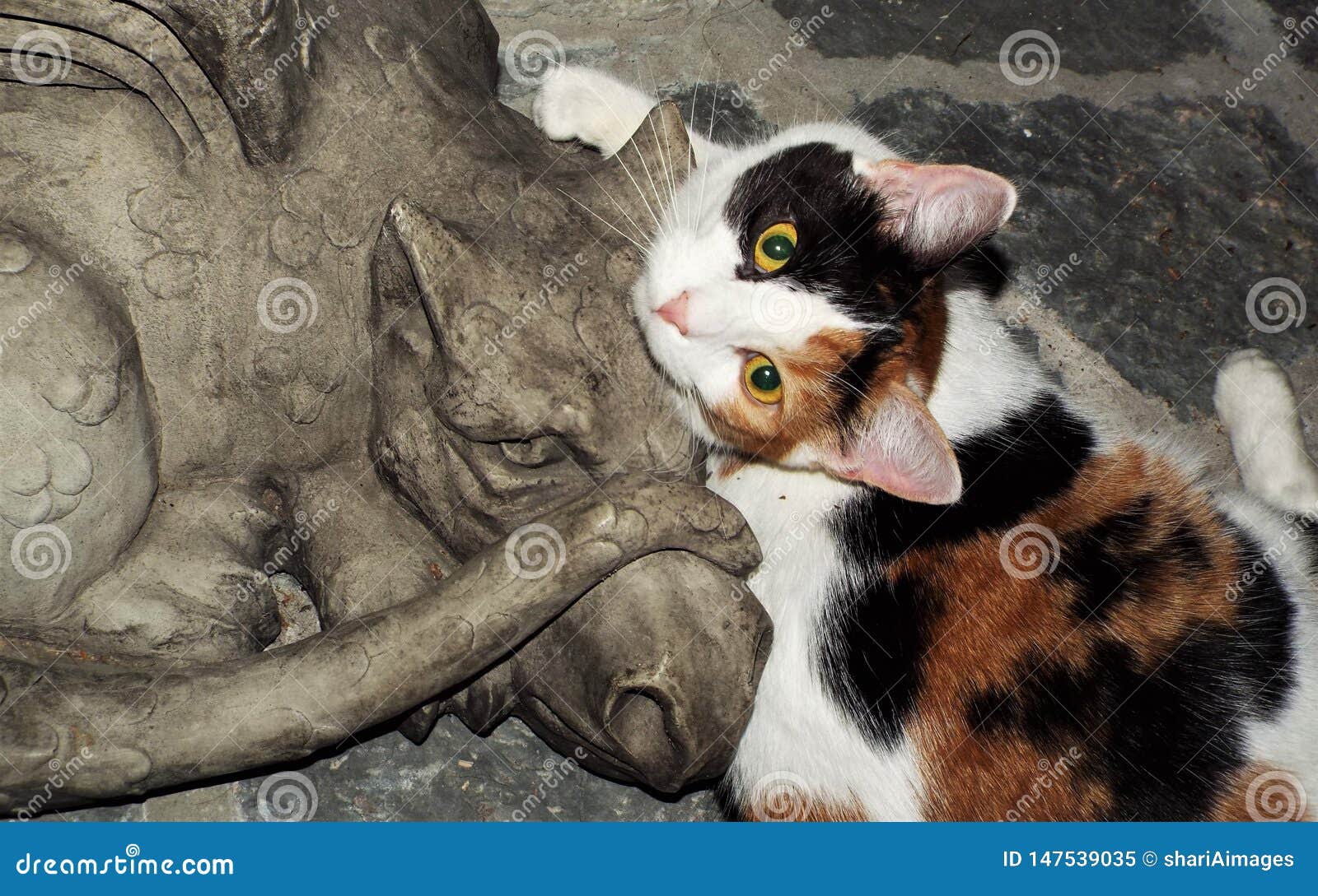 Royalty Free Images, Cartoons, Illustrations And Photos Designed By ...