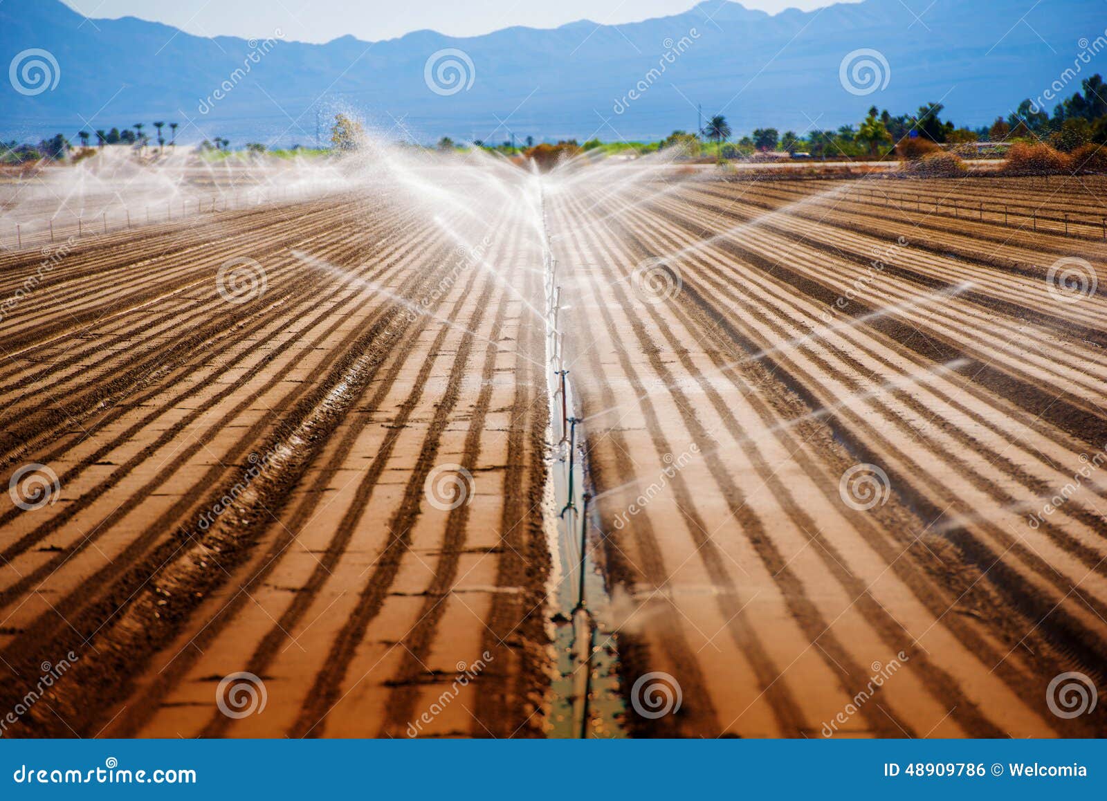 California Agriculture stock photo. Image of soil, irrigation - 48909786